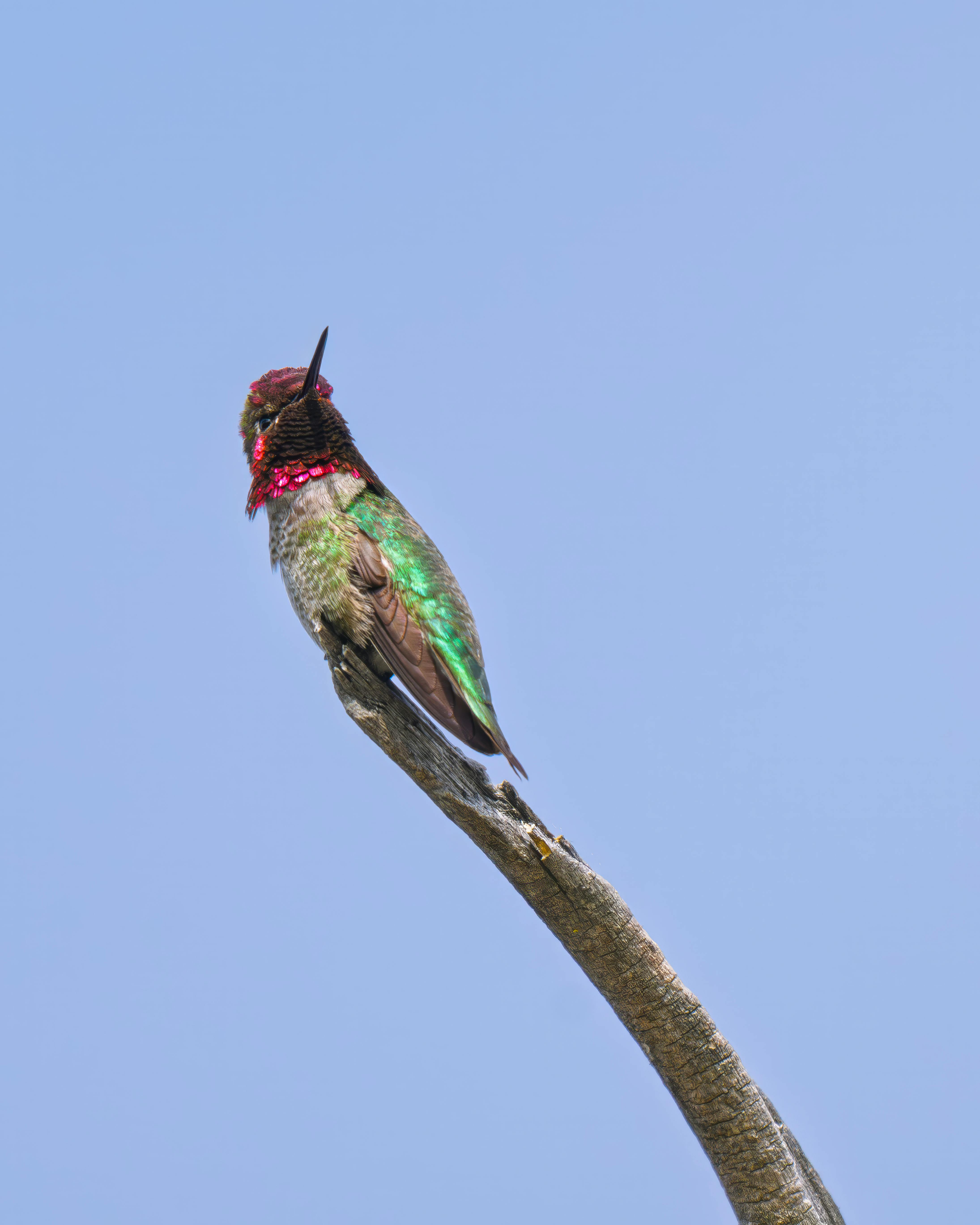 Anna+Quisel Photos, Download The BEST Free Anna+Quisel Stock Photos ...