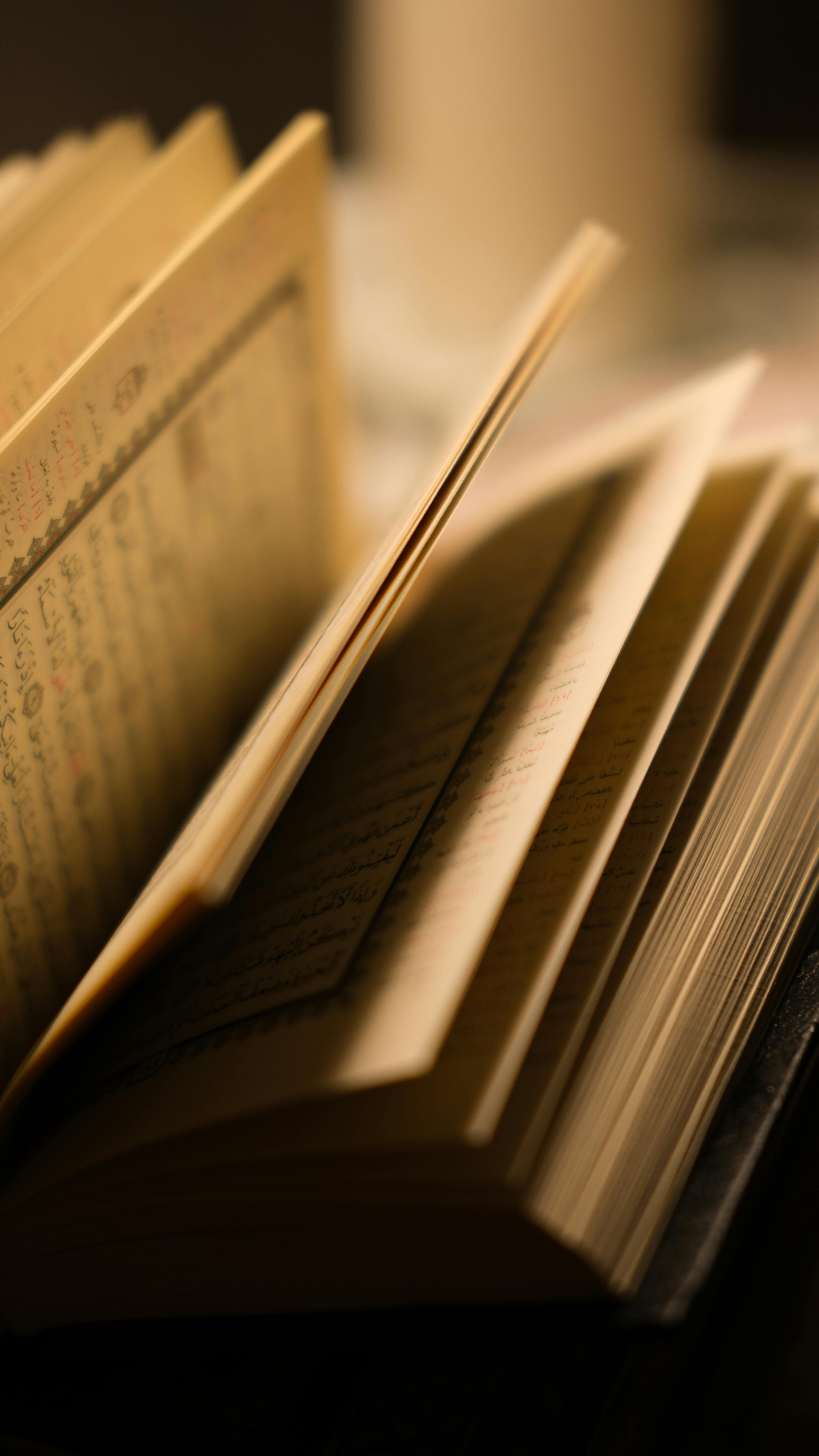 Close-Up of an Open Book with Turned Pages · Free Stock Photo