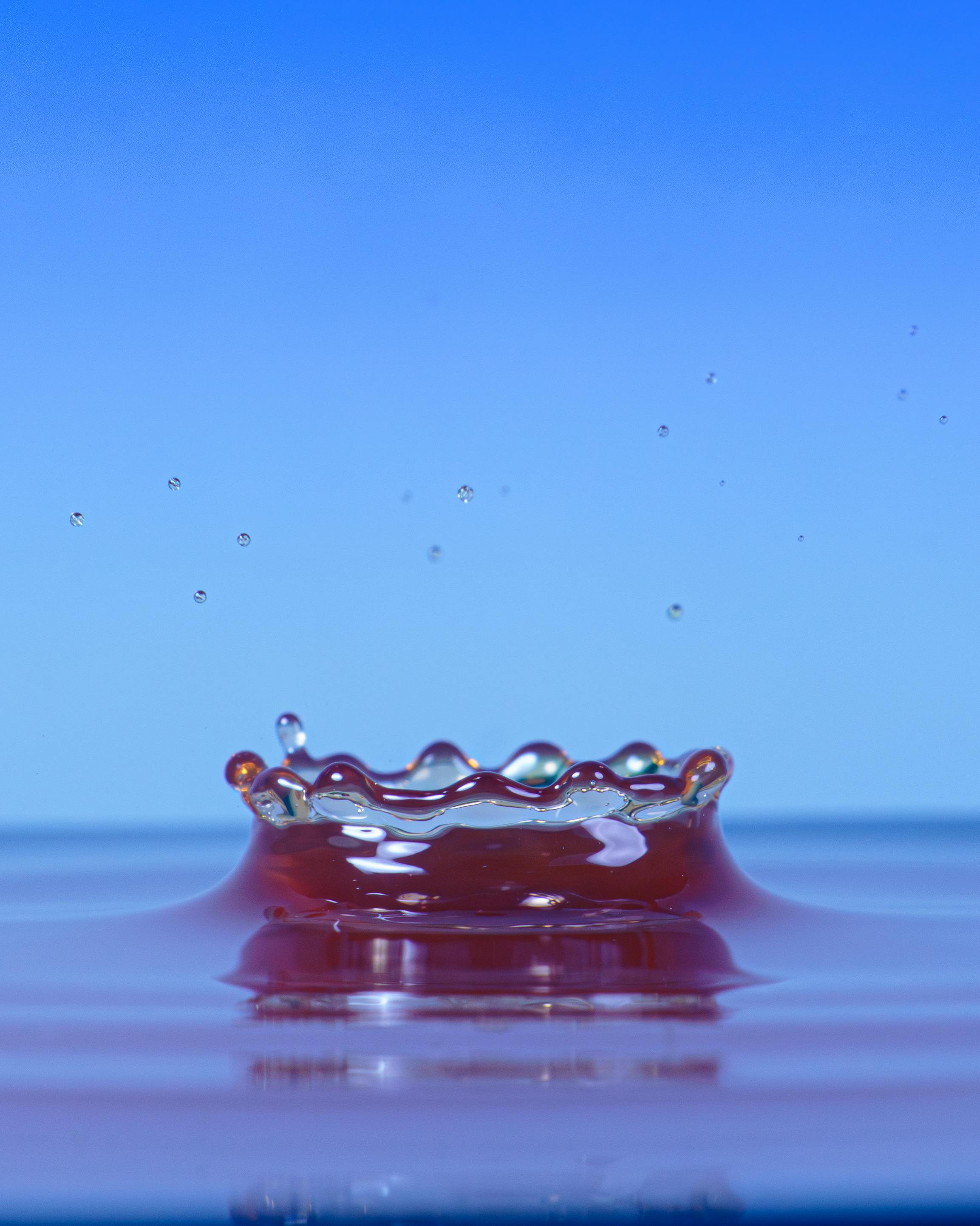 Poison Water Drop Photos, Download The BEST Free Poison Water Drop ...