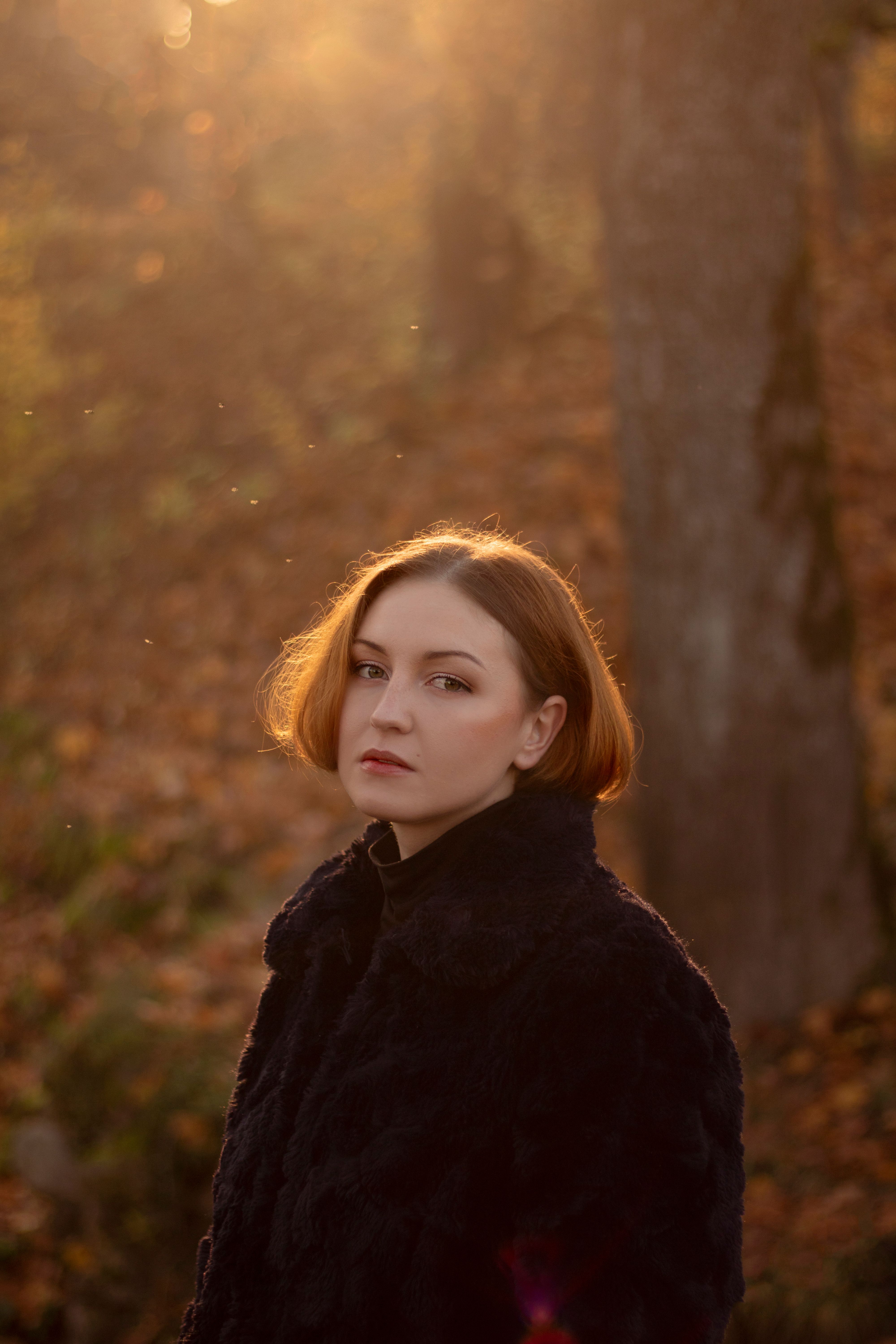 Backlight Portrait Photos, Download Free Backlight Portrait Stock ...