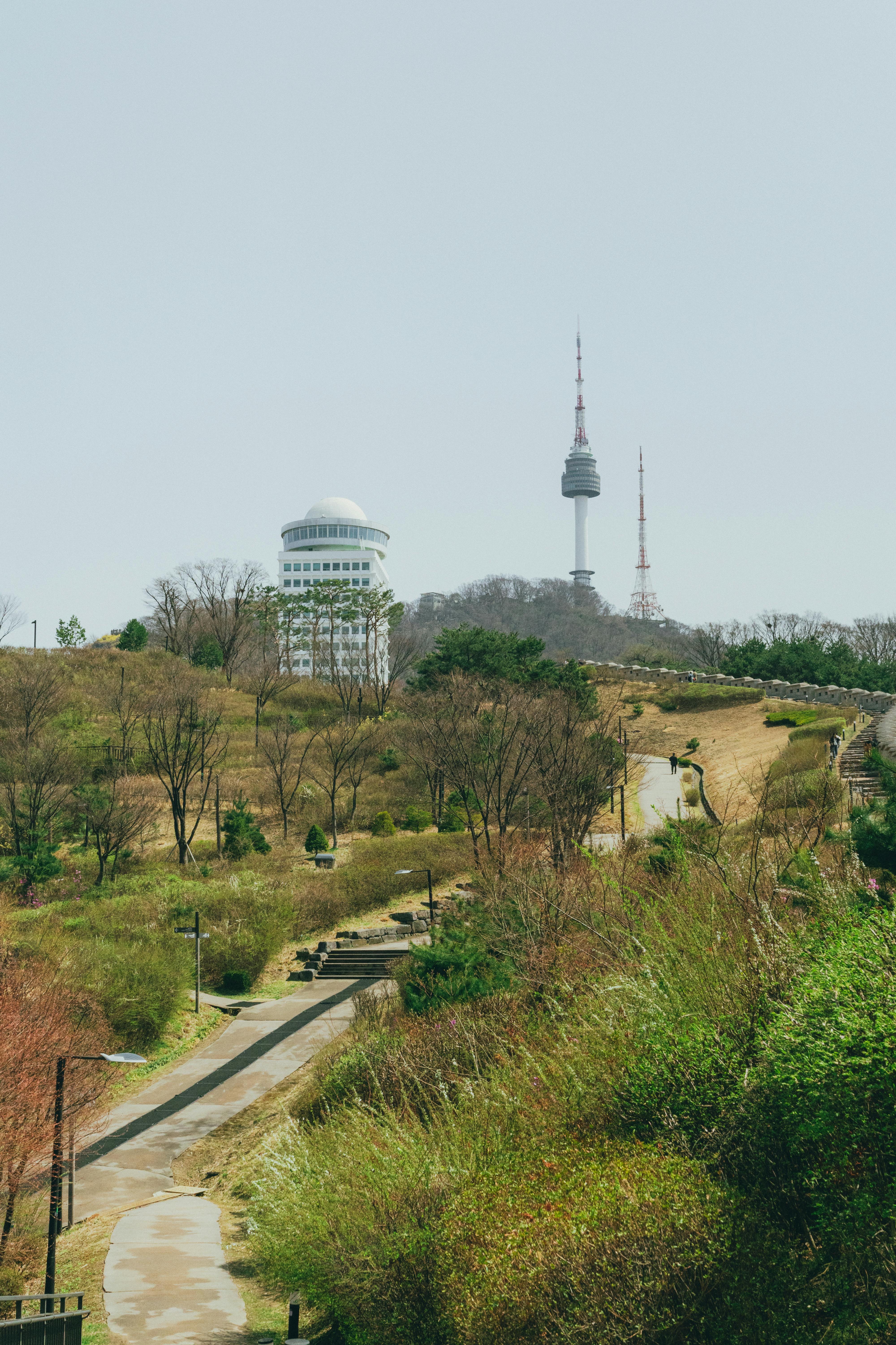 Chava+Movie+Wallpaper+4k Photos, Download The BEST Free Chava+Movie ...