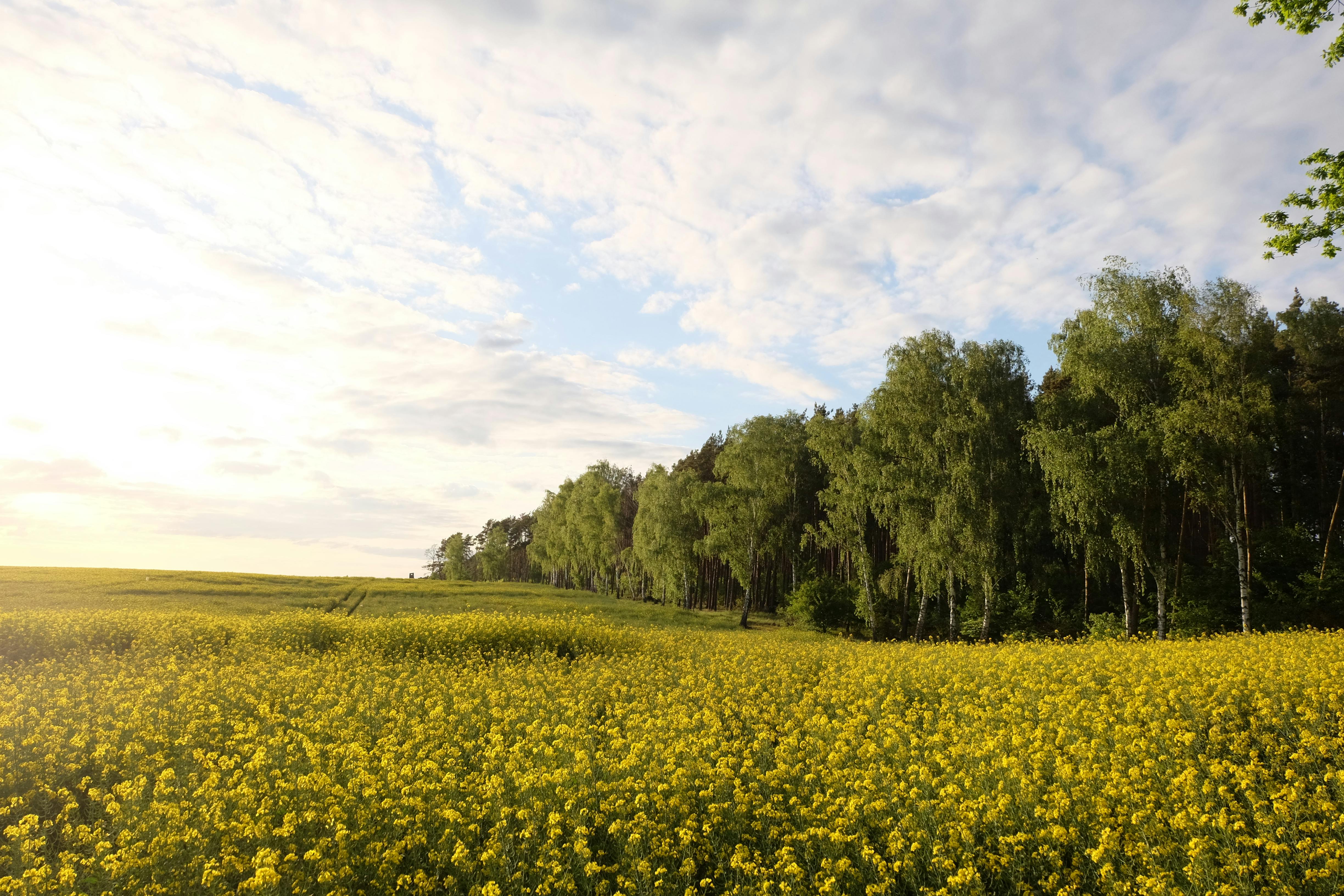 Urea Photo Photos, Download The BEST Free Urea Photo Stock Photos & HD ...