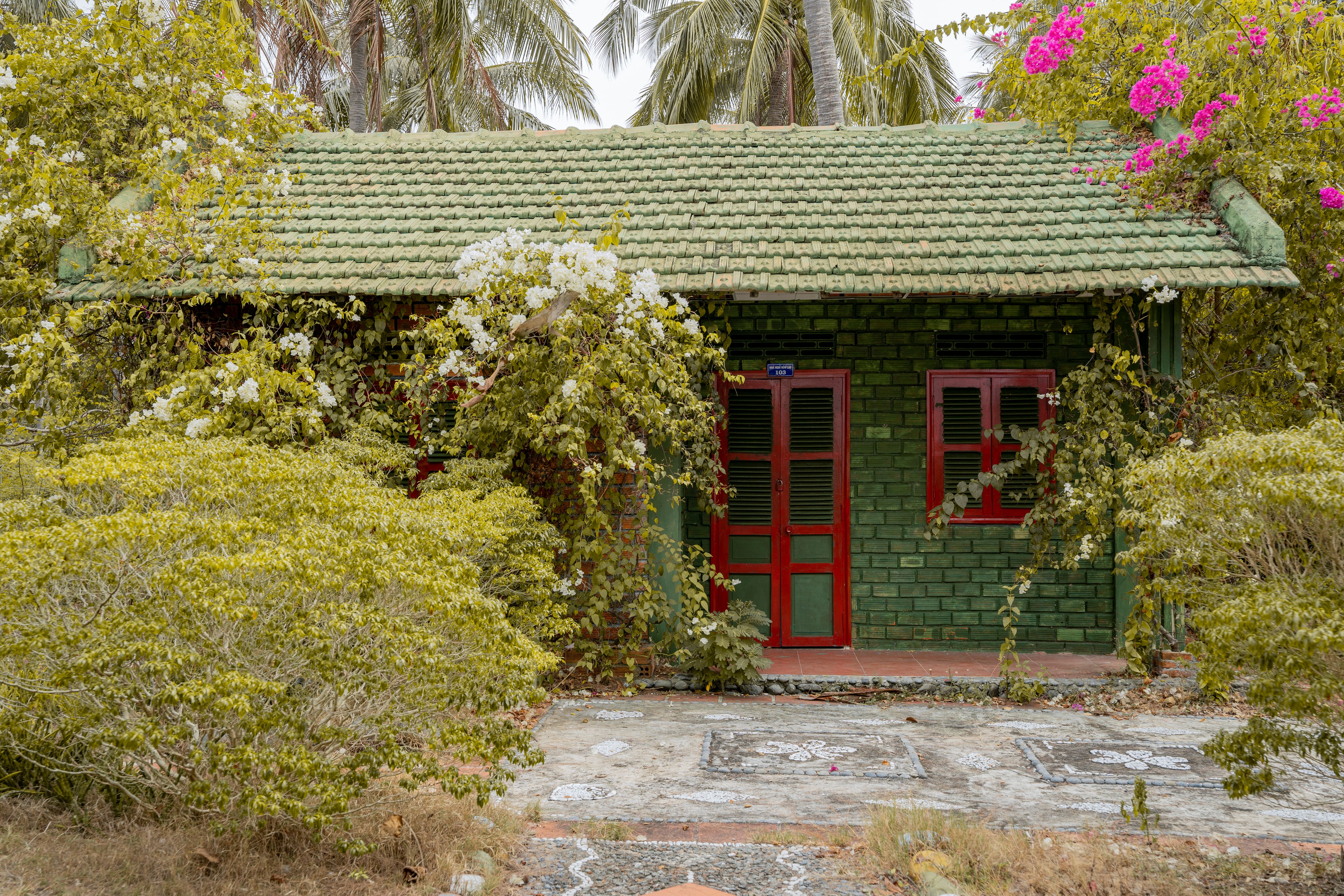 Charming Green Cottage Surrounded by Lush Foliage · Free Stock Photo