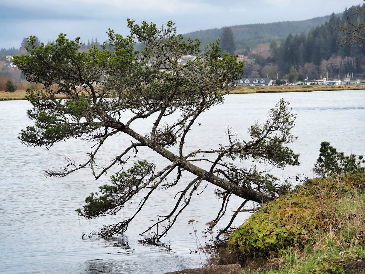 Washington State Photos, Download The BEST Free Washington State Stock ...