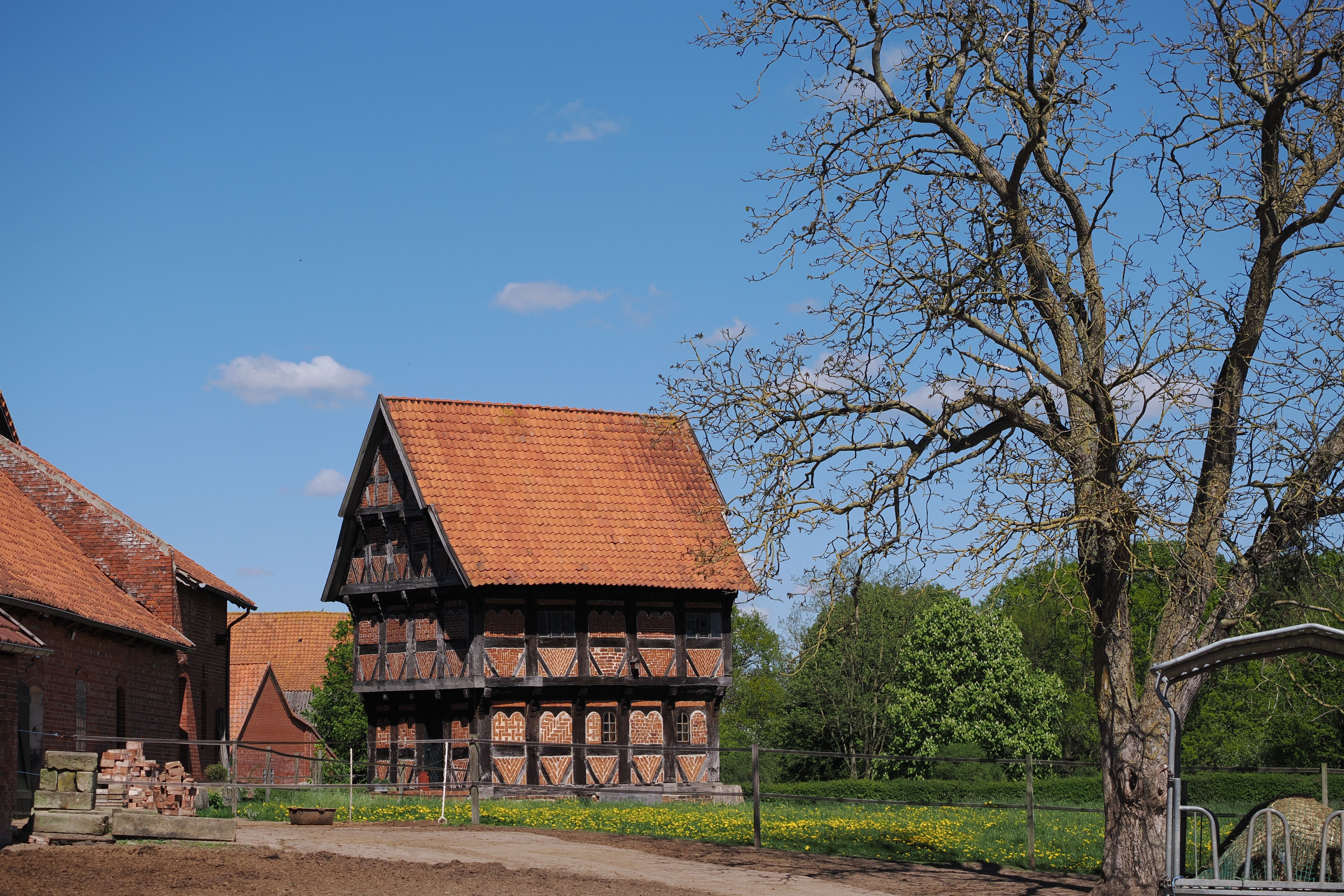 A Traditional German Half Timbered House behind the Trees · Free Stock ...