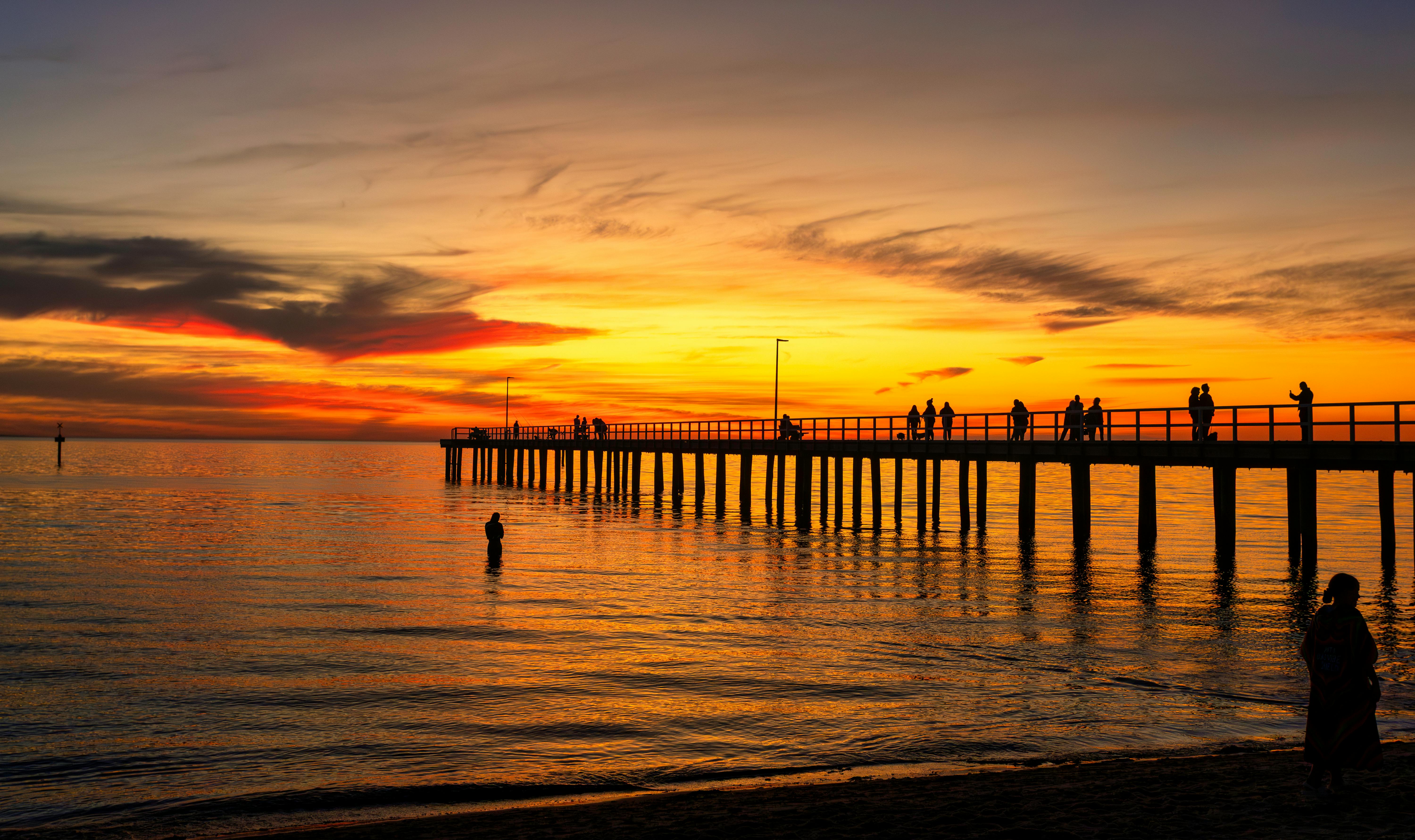 Robert Stokoe - 写真