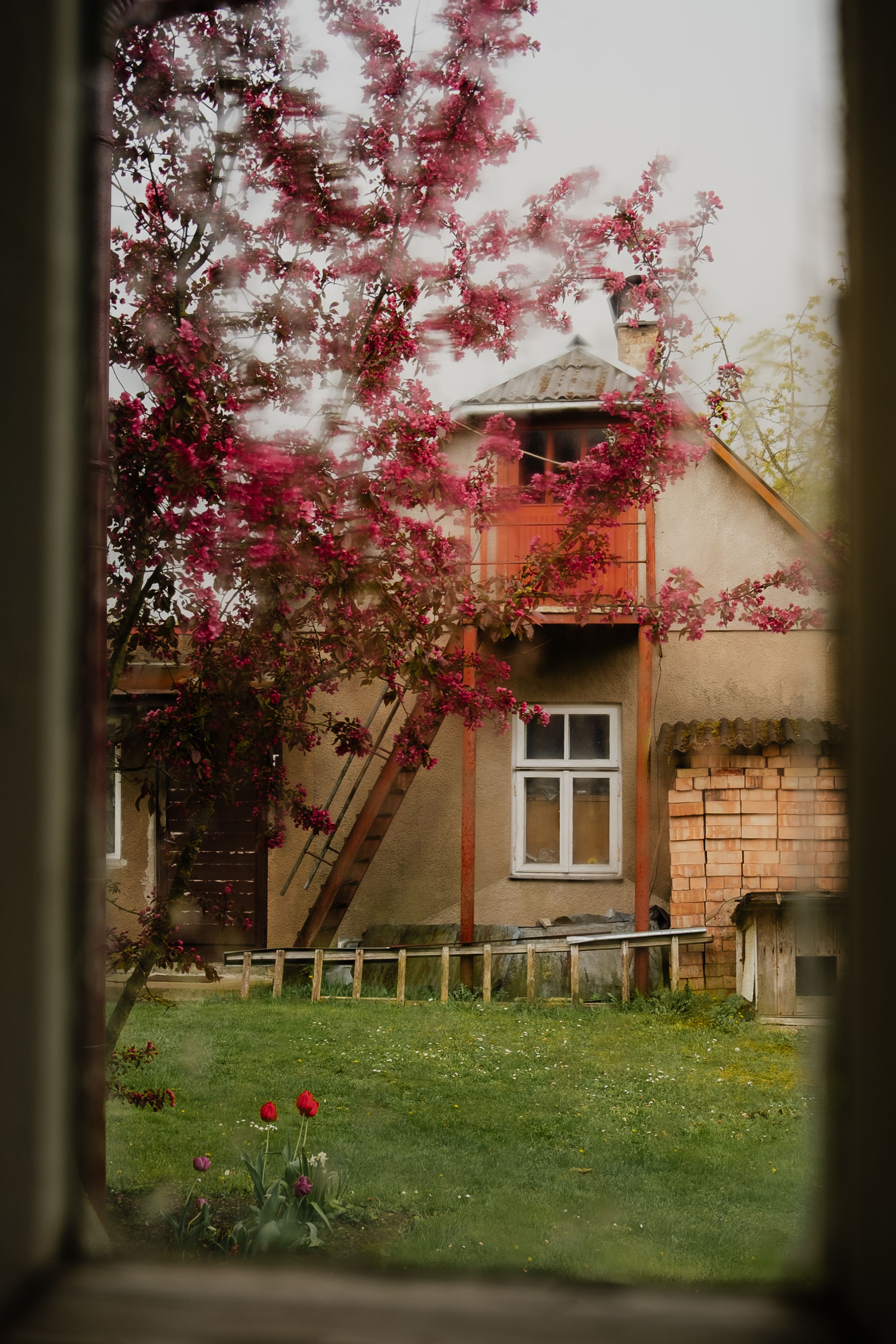 Charming Rustic House with Spring Blooms · Free Stock Photo