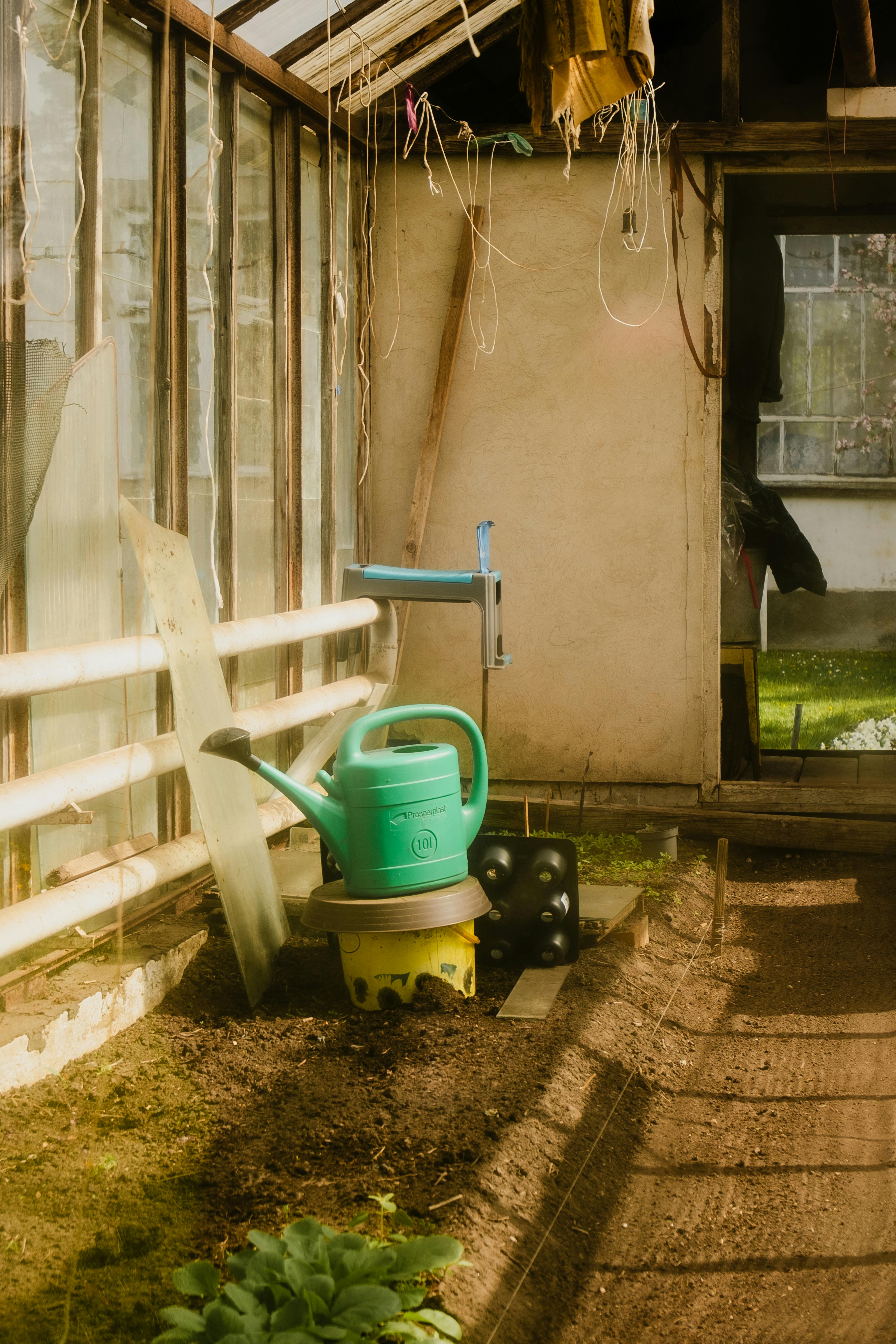 1,710,796+以上の無料福建兄妹+紫色面具画像