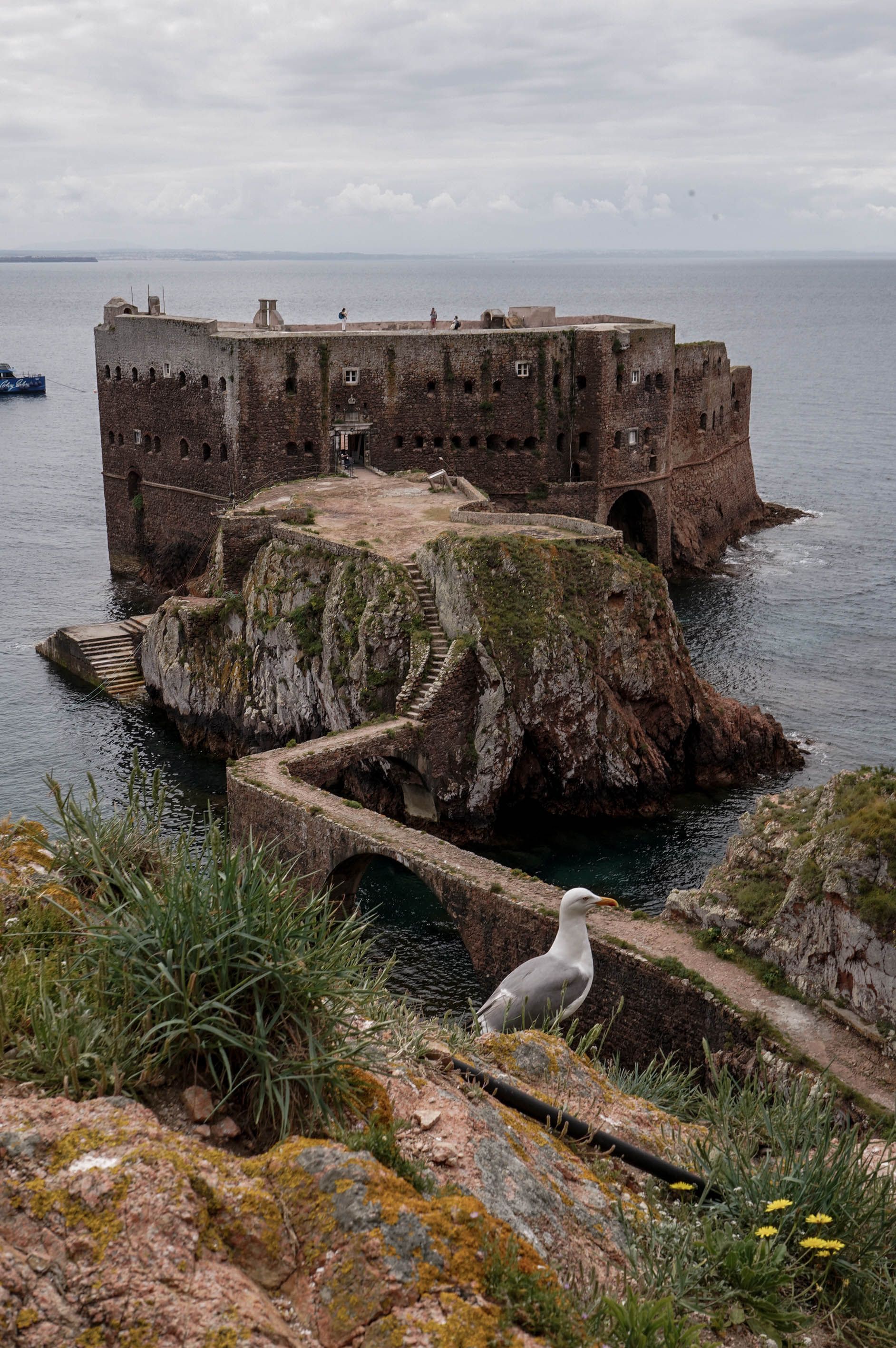 Fortress Of Berlengas Photos, Download The BEST Free Fortress Of ...