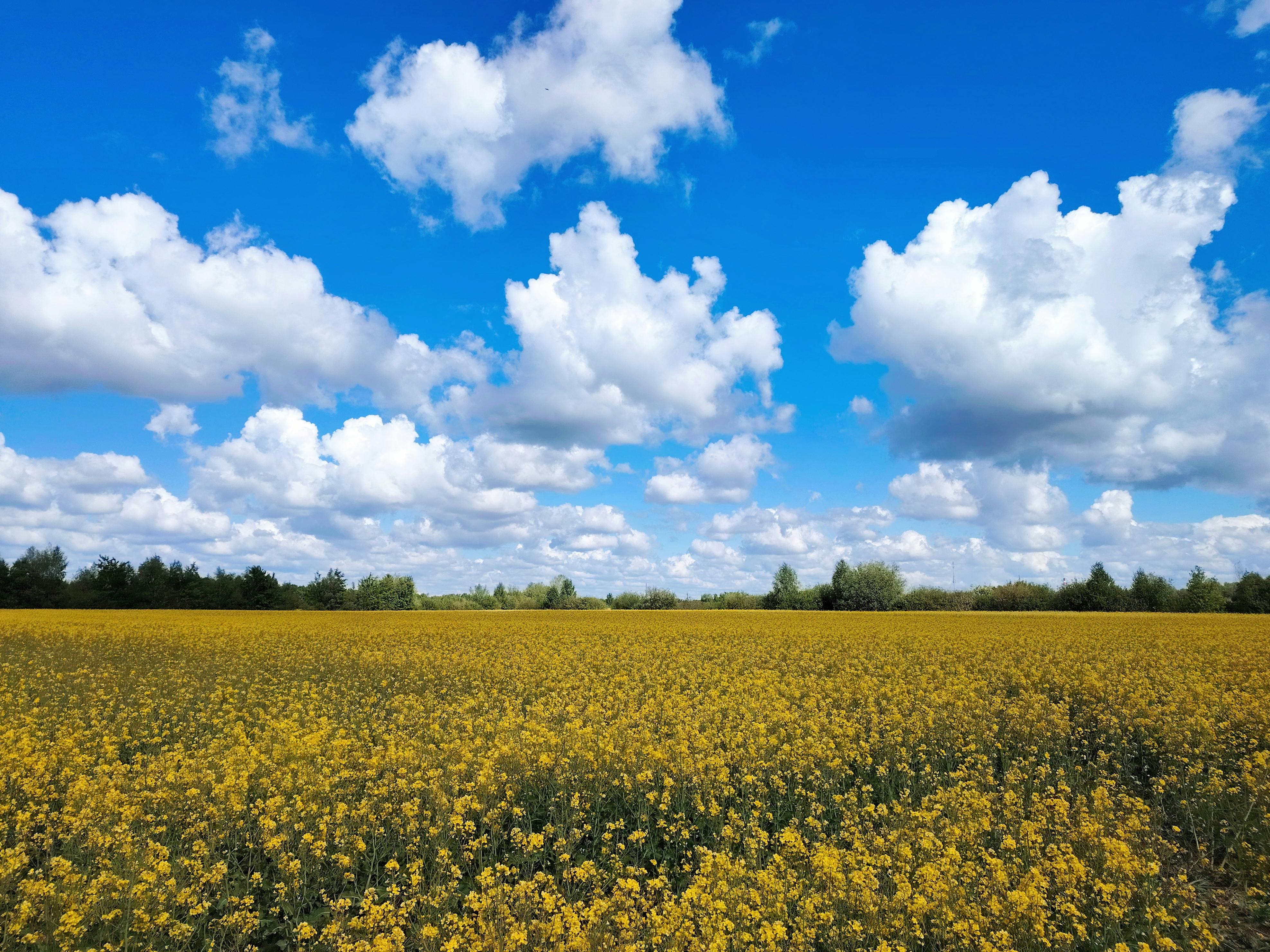 Tryx+Panorama+Gifs Photos, Download The BEST Free Tryx+Panorama+Gifs ...