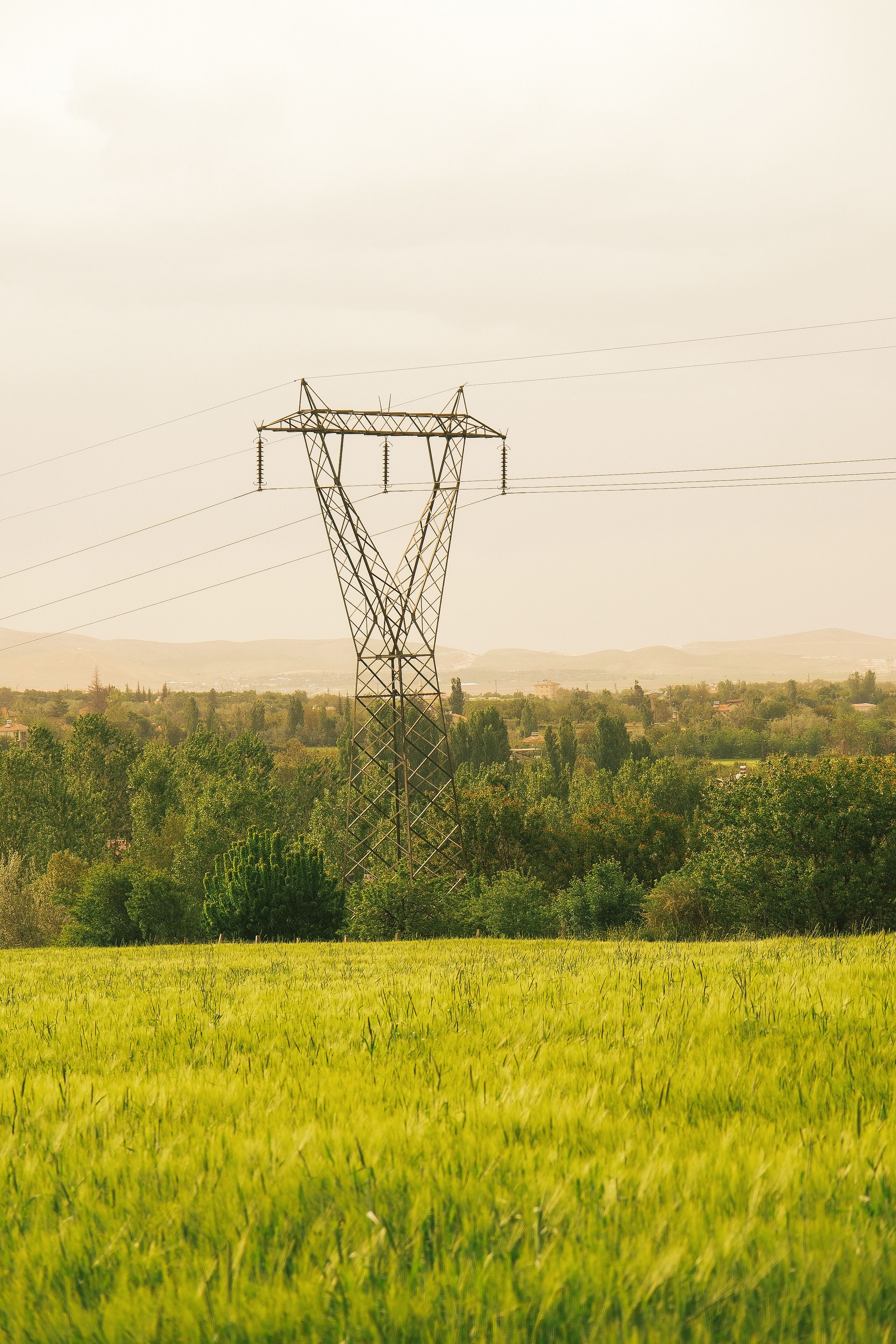 Electric Posts on Dry Field · Free Stock Photo