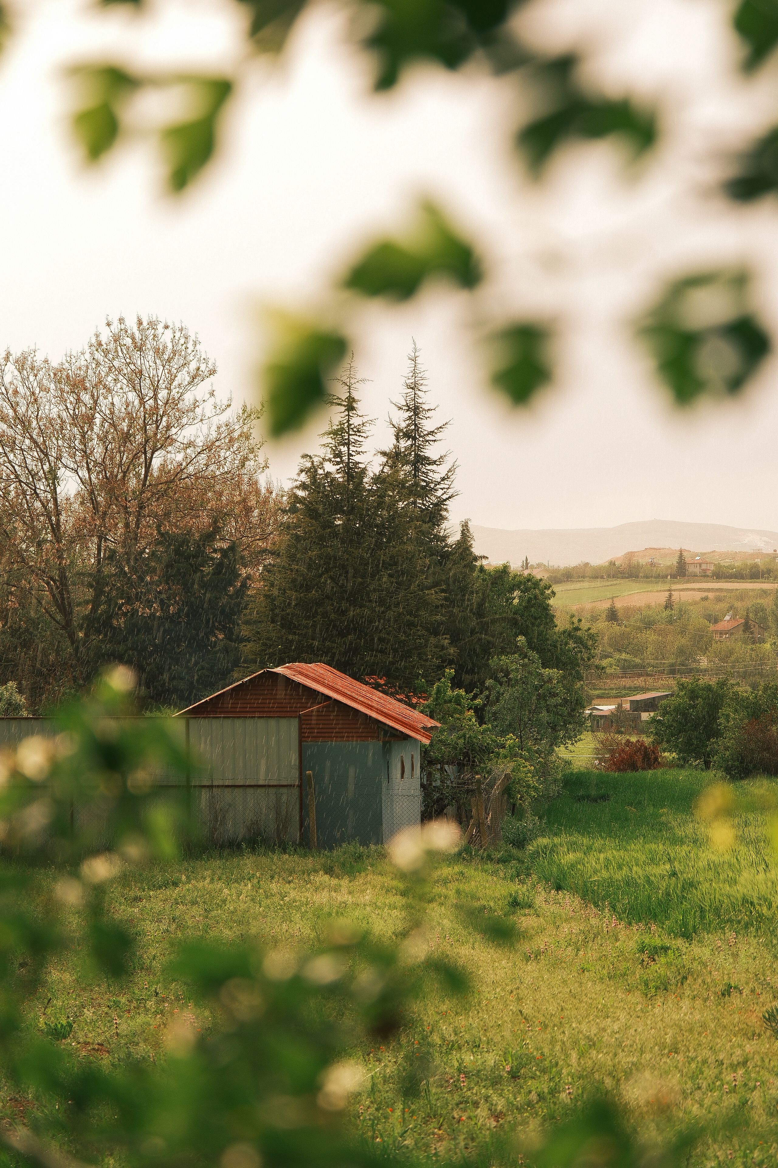 Scenic Rural Landscape with Rustic Shed · Free Stock Photo