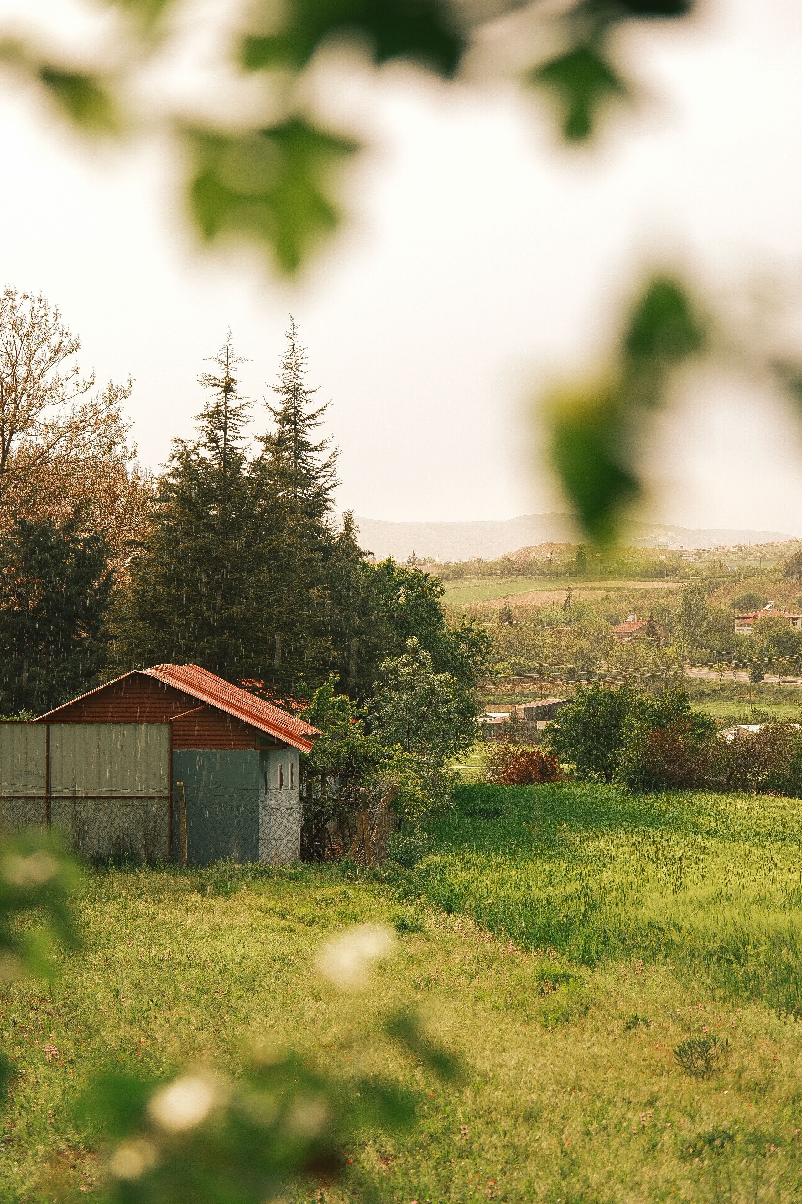 Rustic Countryside Landscape with Old Shed · Free Stock Photo