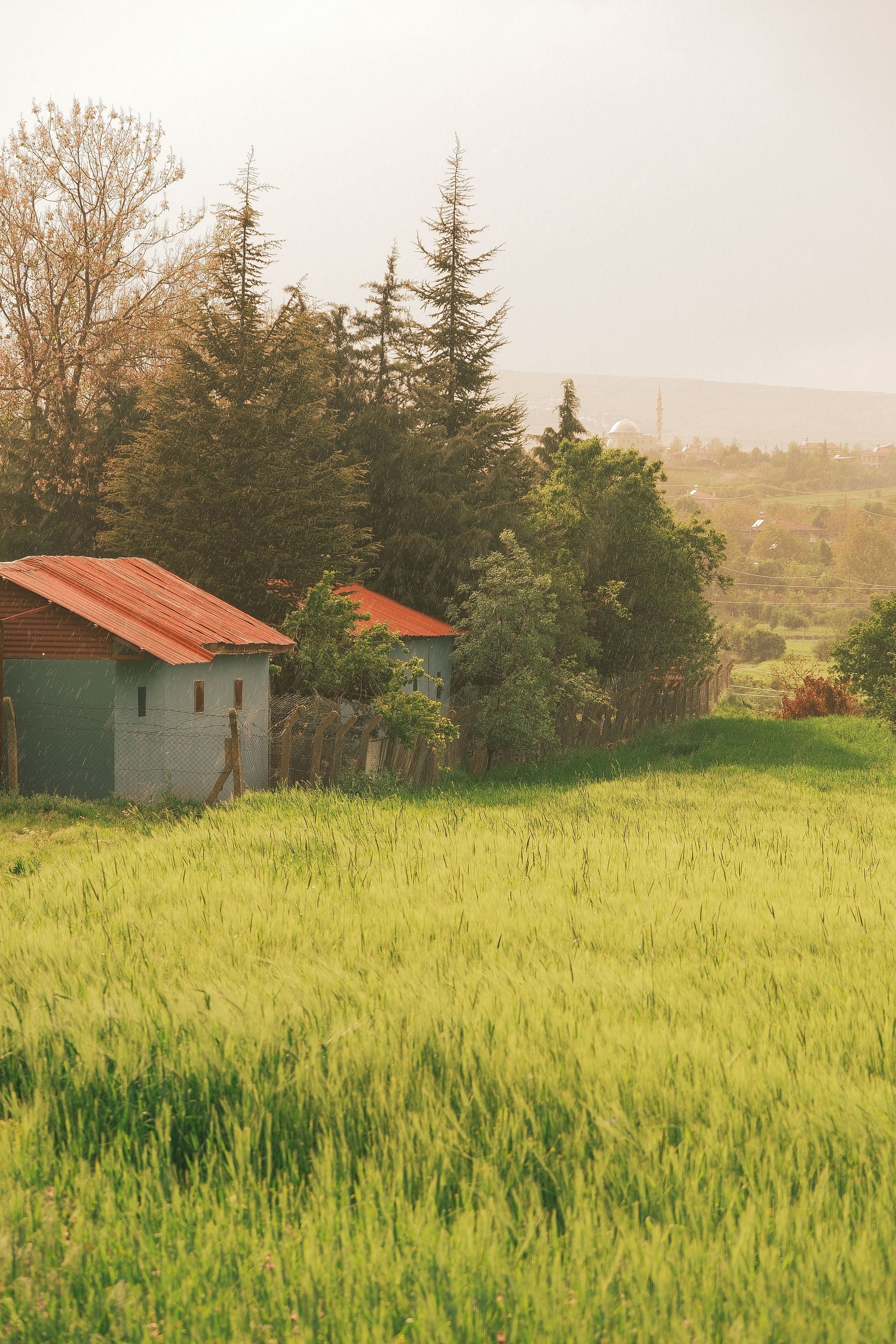 Rustic Countryside Landscape with Old Shed · Free Stock Photo