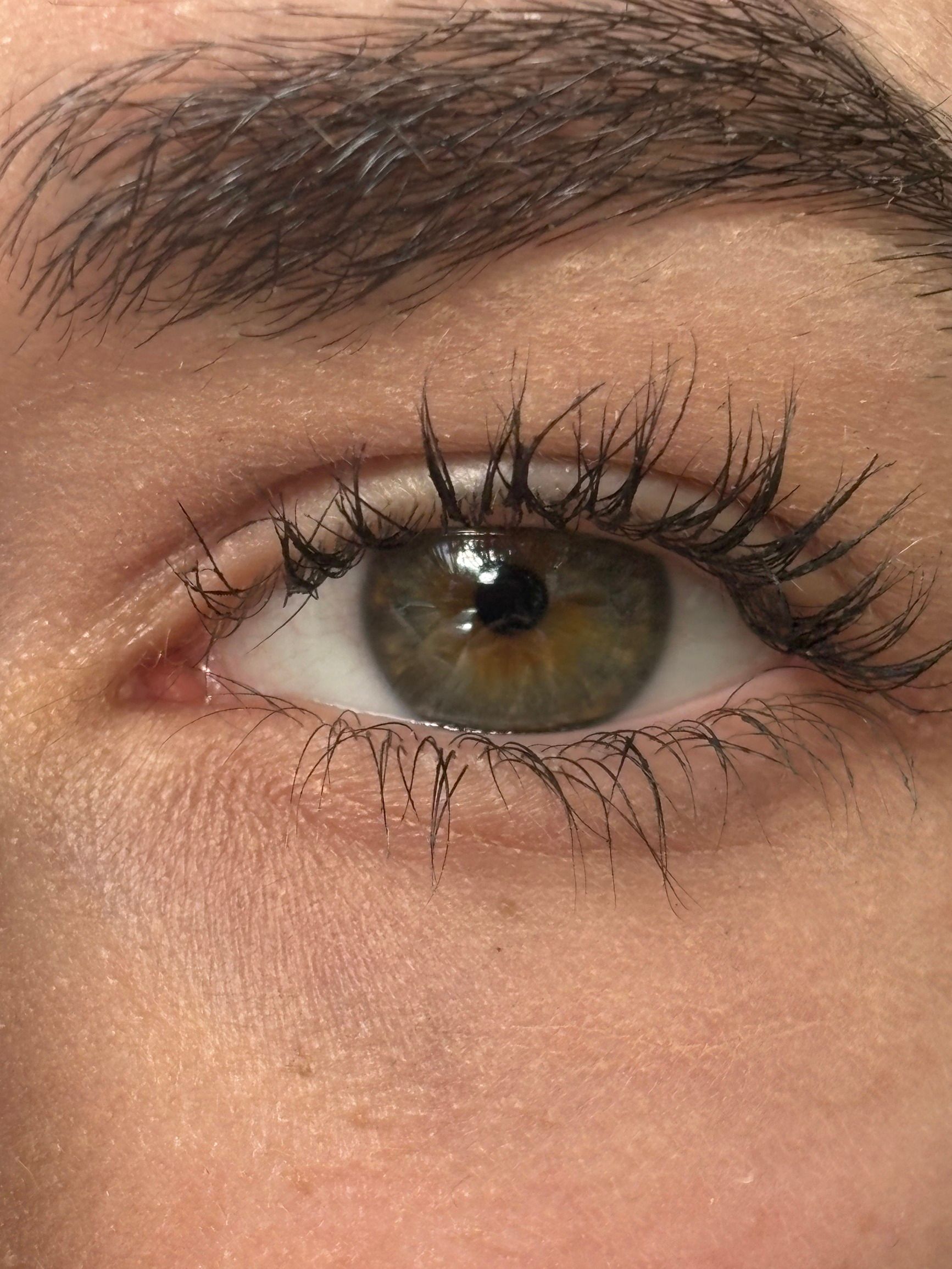 Close-up of a Human Eye with Eyelashes · Free Stock Photo