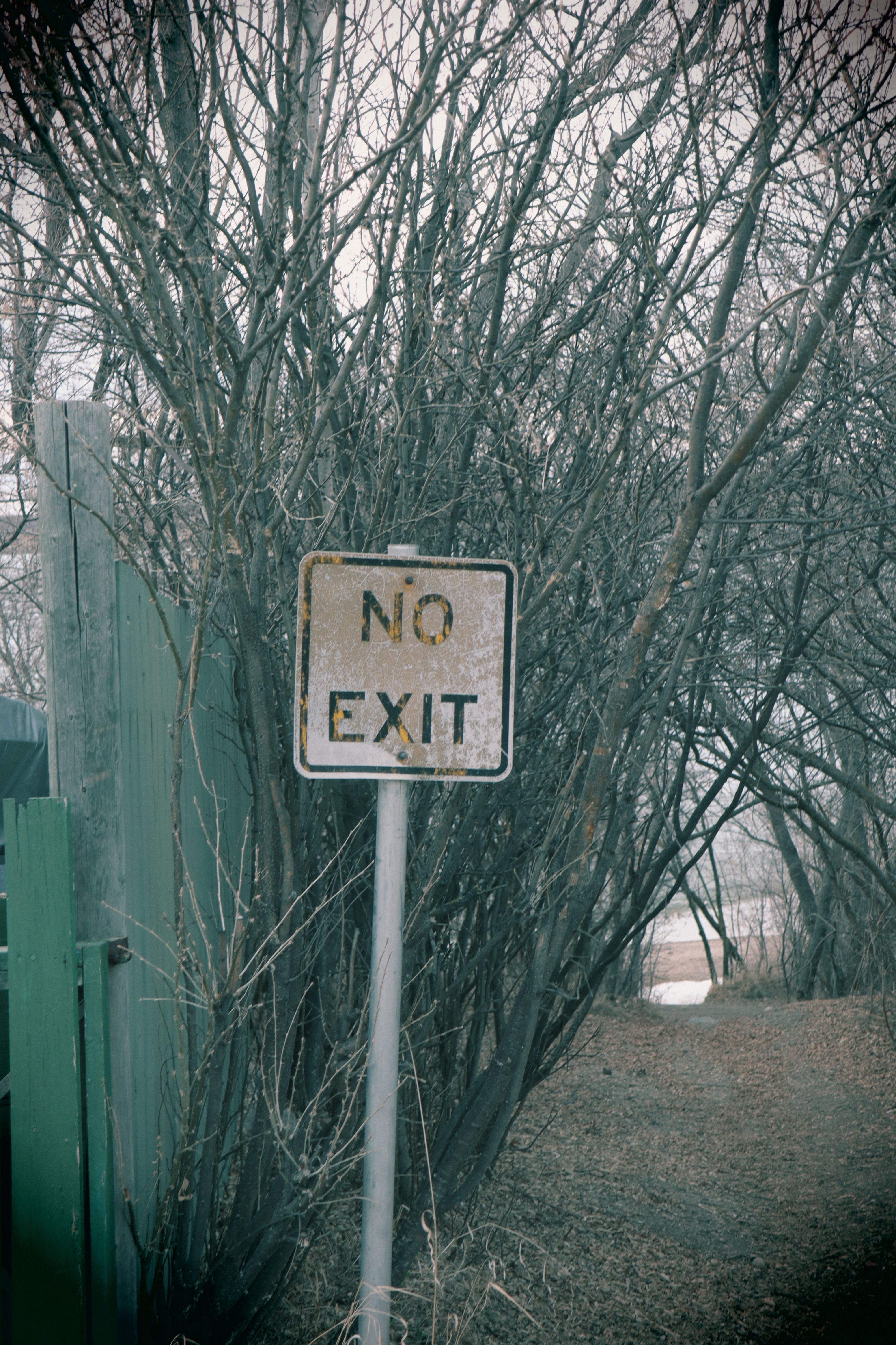 Rustic No Exit Sign in Bare Winter Trees · Free Stock Photo