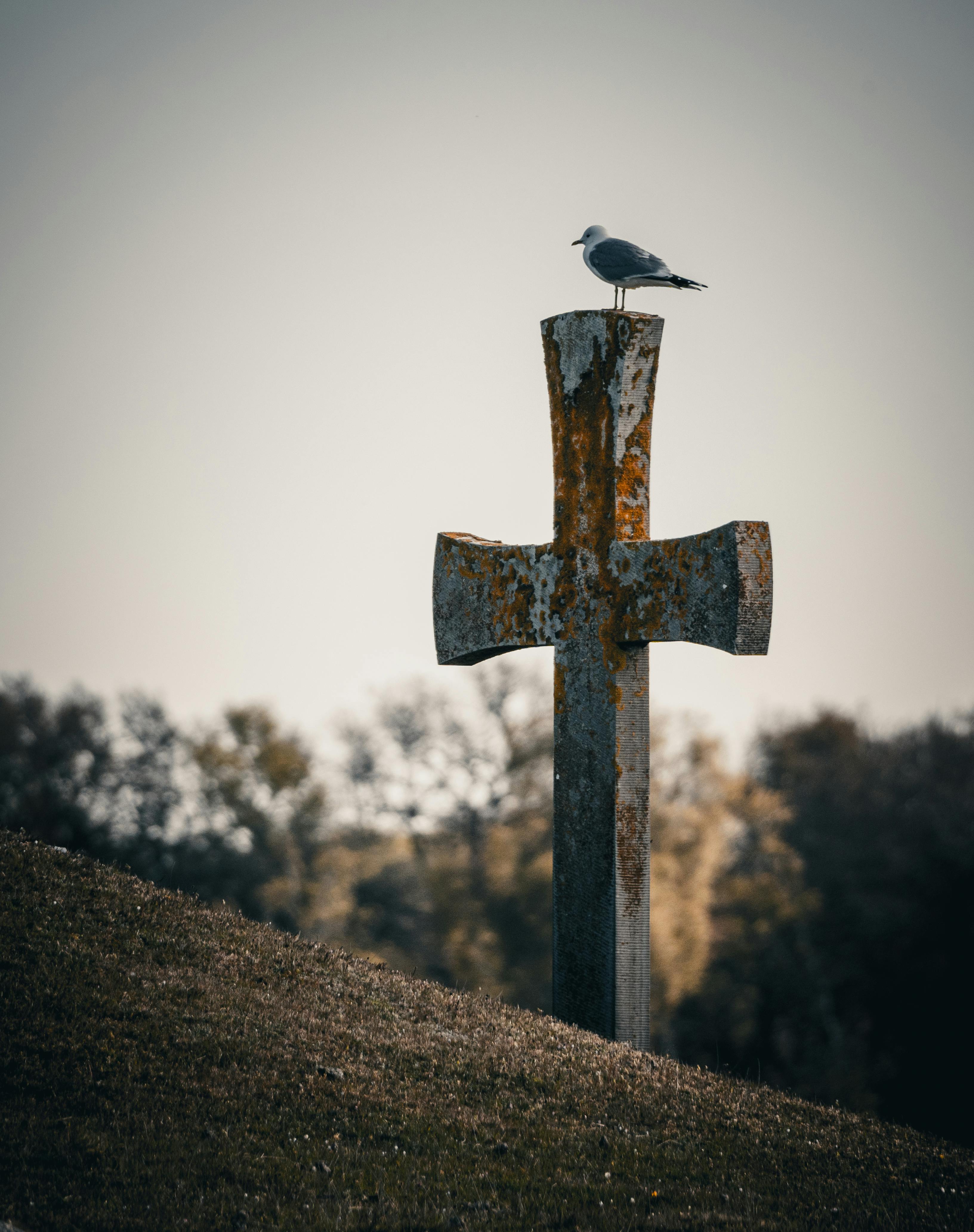 Animated Cross Backgrounds Photos, Download The BEST Free Animated ...