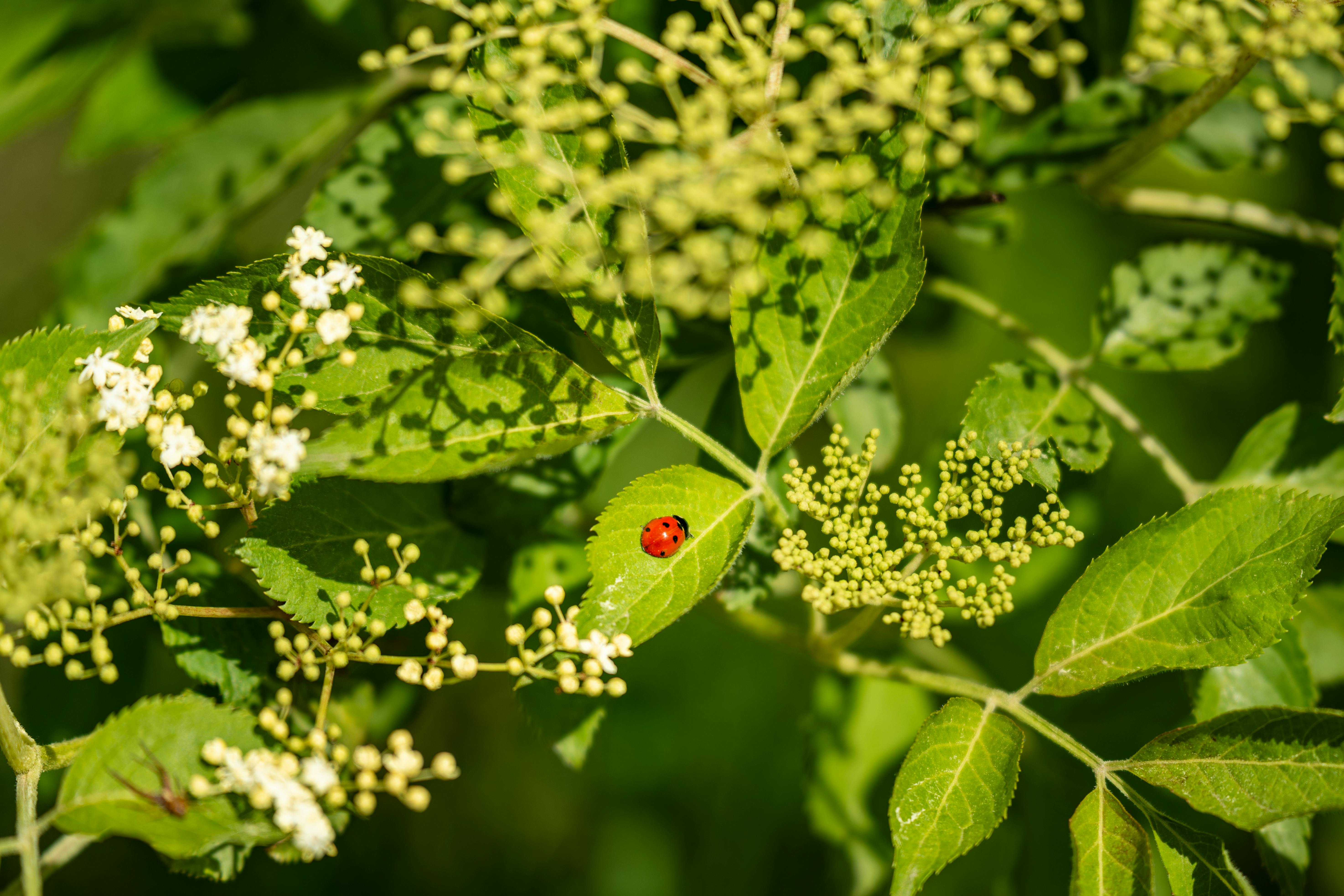 Olkusz+Mapa Photos, Download The BEST Free Olkusz+Mapa Stock Photos ...