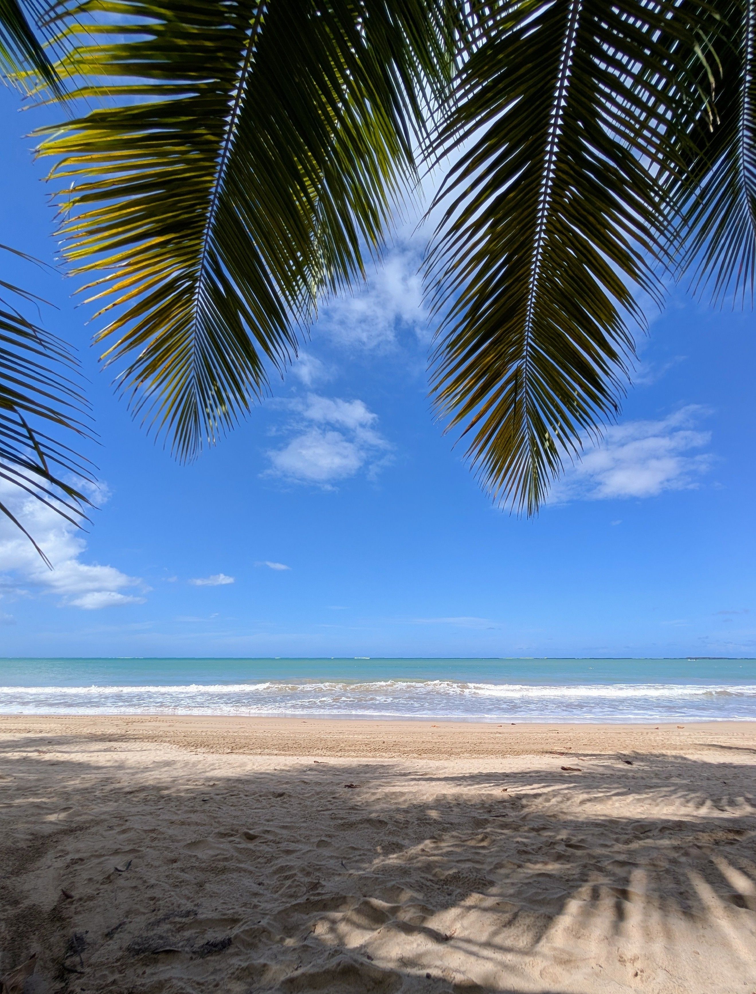 Beach Tropical Photos, Download The BEST Free Beach Tropical Stock ...