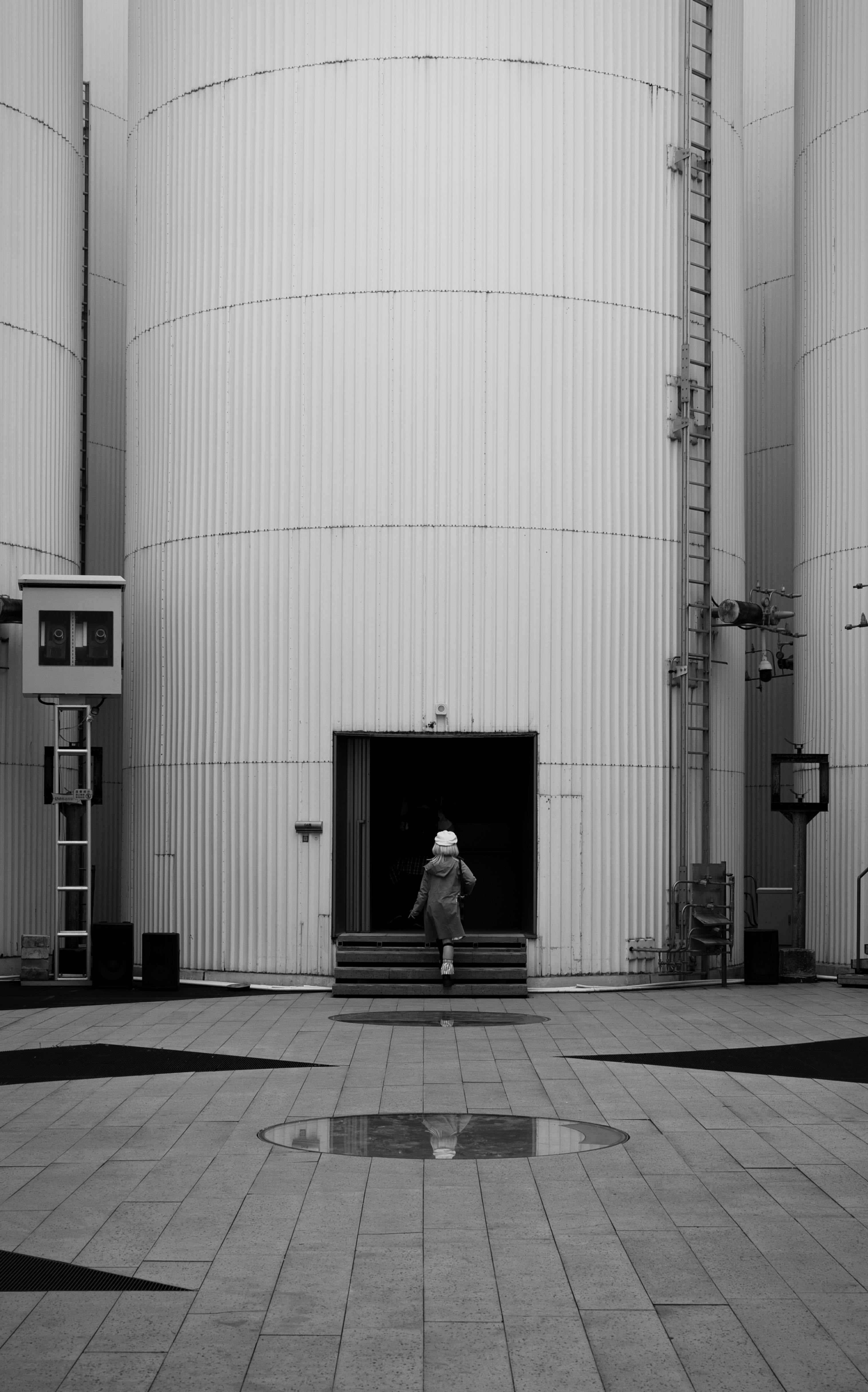 Large Proportion Photos, Download The BEST Free Large Proportion Stock ...