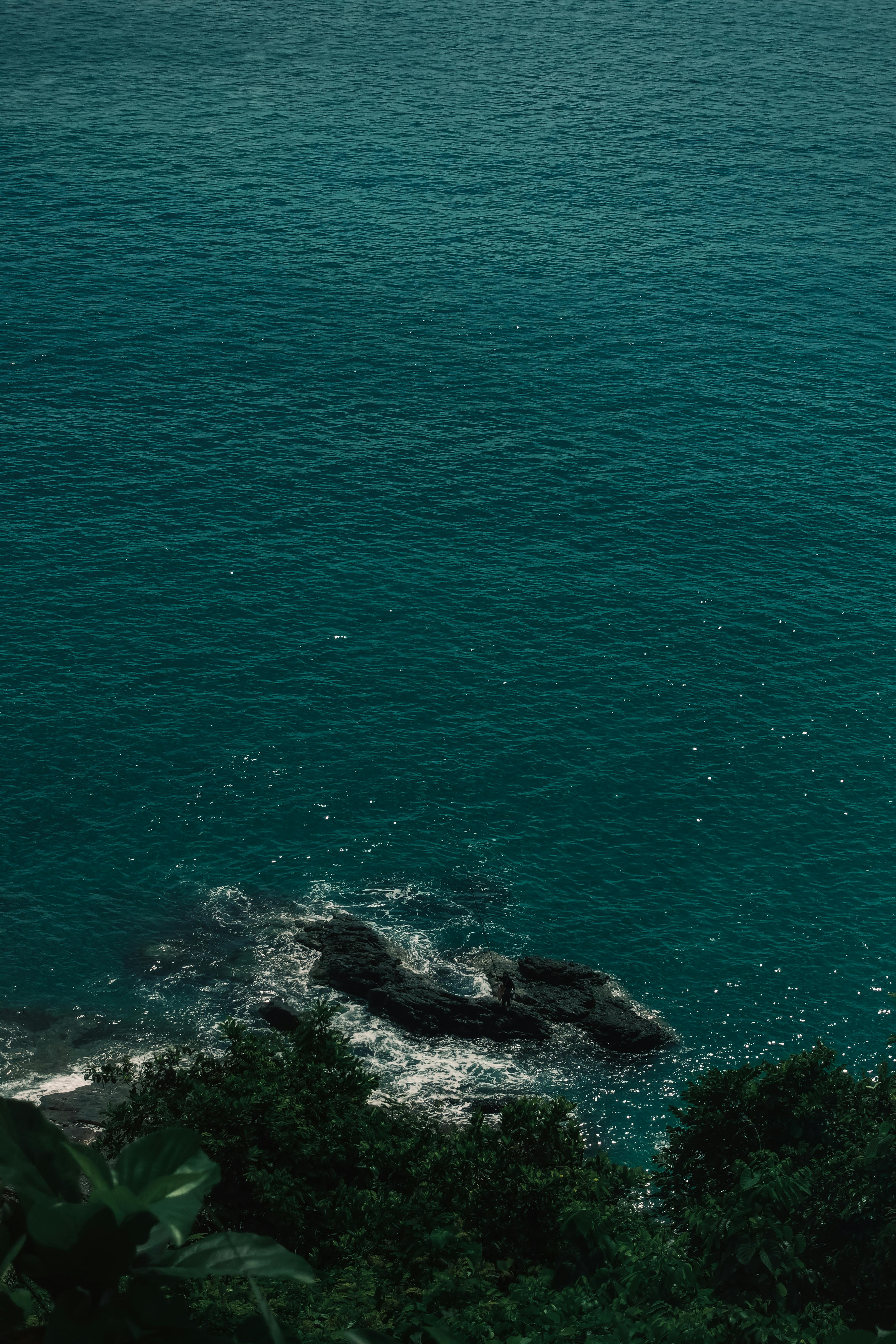 Day 1 Photos, Download The BEST Free Day 1 Stock Photos & HD Images