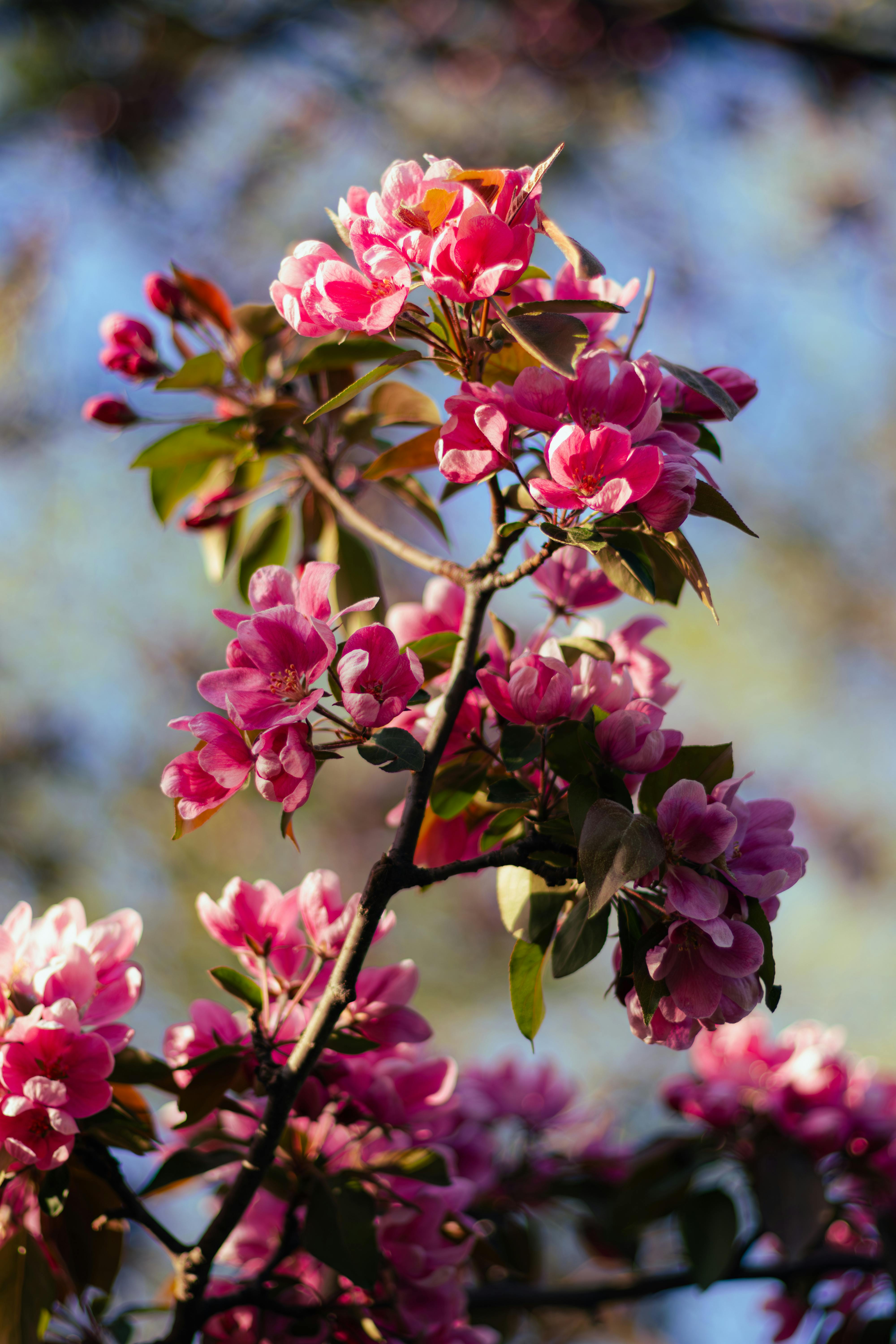 Preppy Aesthetic Wallpaper Photos, Download The BEST Free Preppy ...