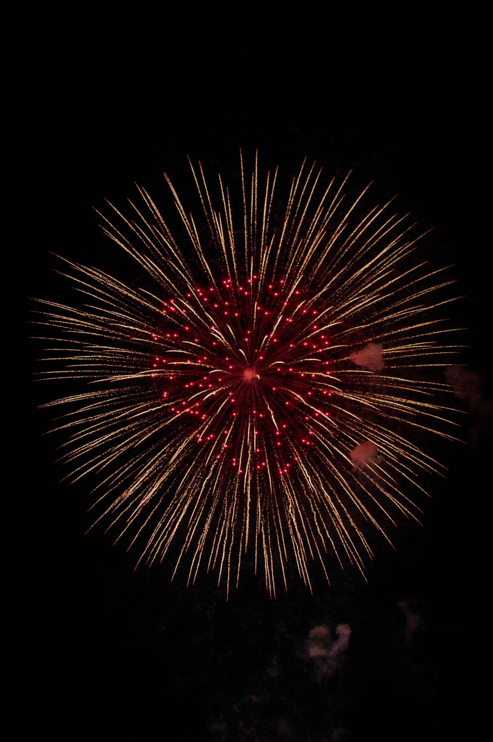 Vibrant Red and Gold Firework Burst on Black Sky · Free Stock Photo