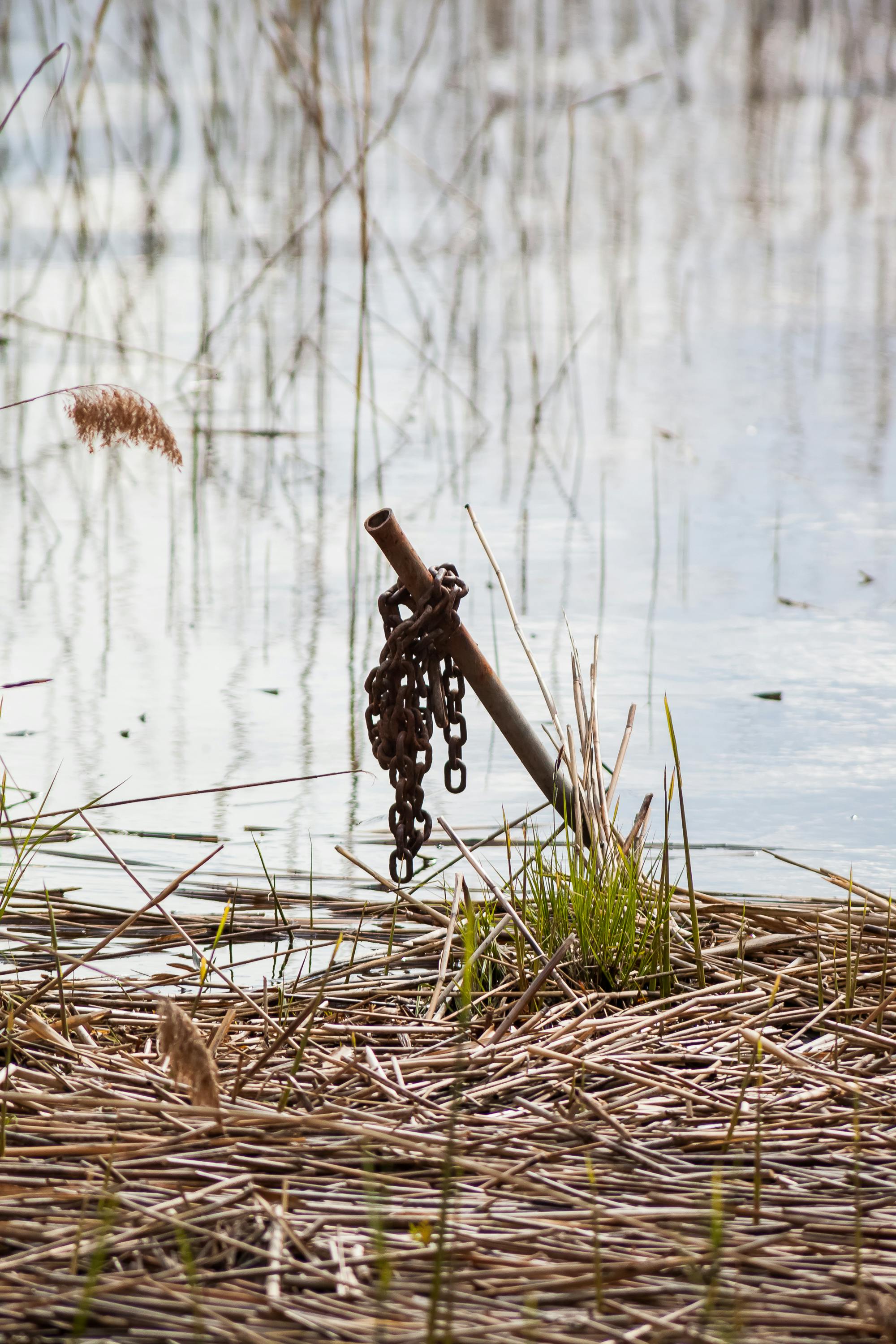 Pole Photos, Download The BEST Free Pole Stock Photos & HD Images