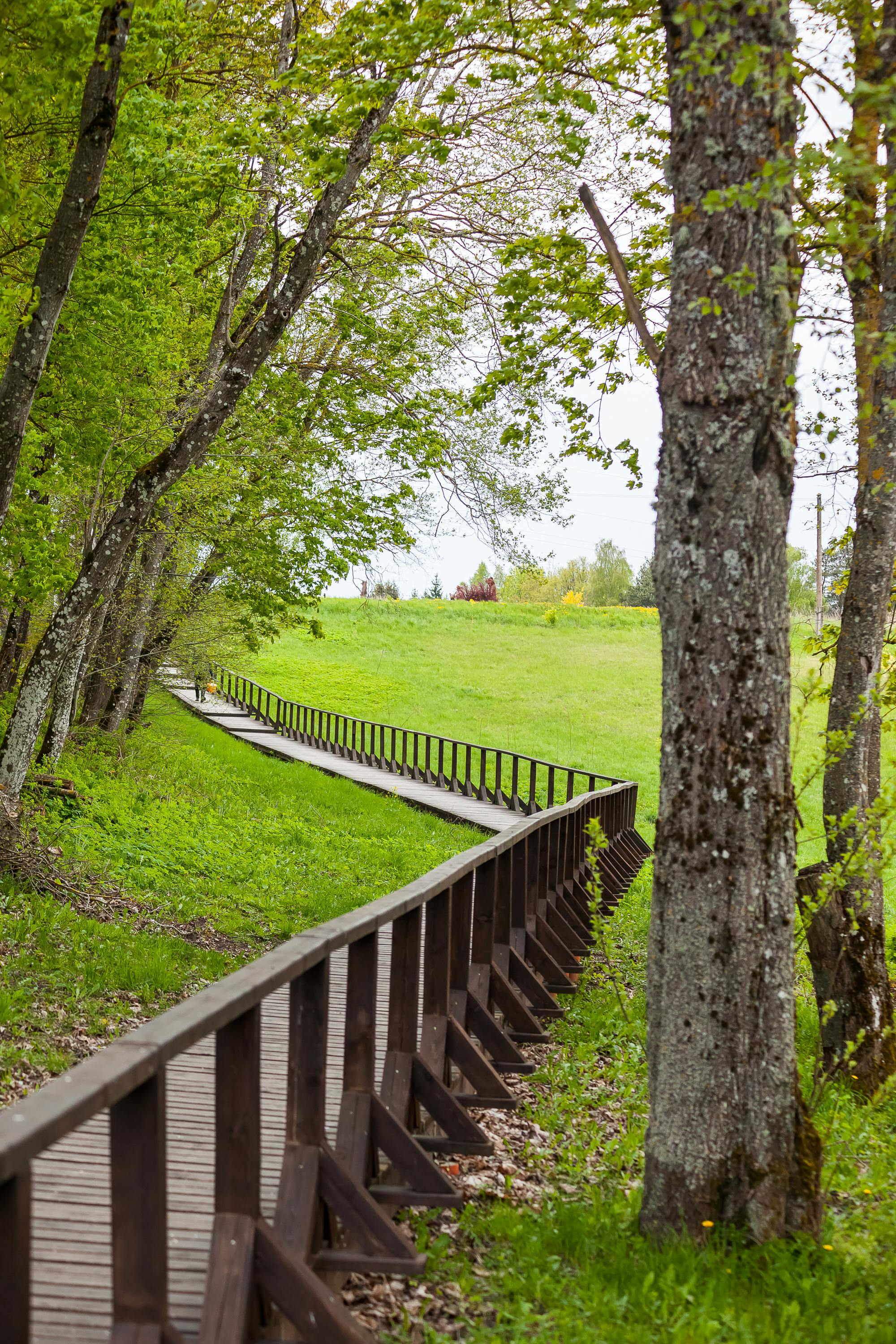 Refreshing Sights Photos, Download The BEST Free Refreshing Sights ...