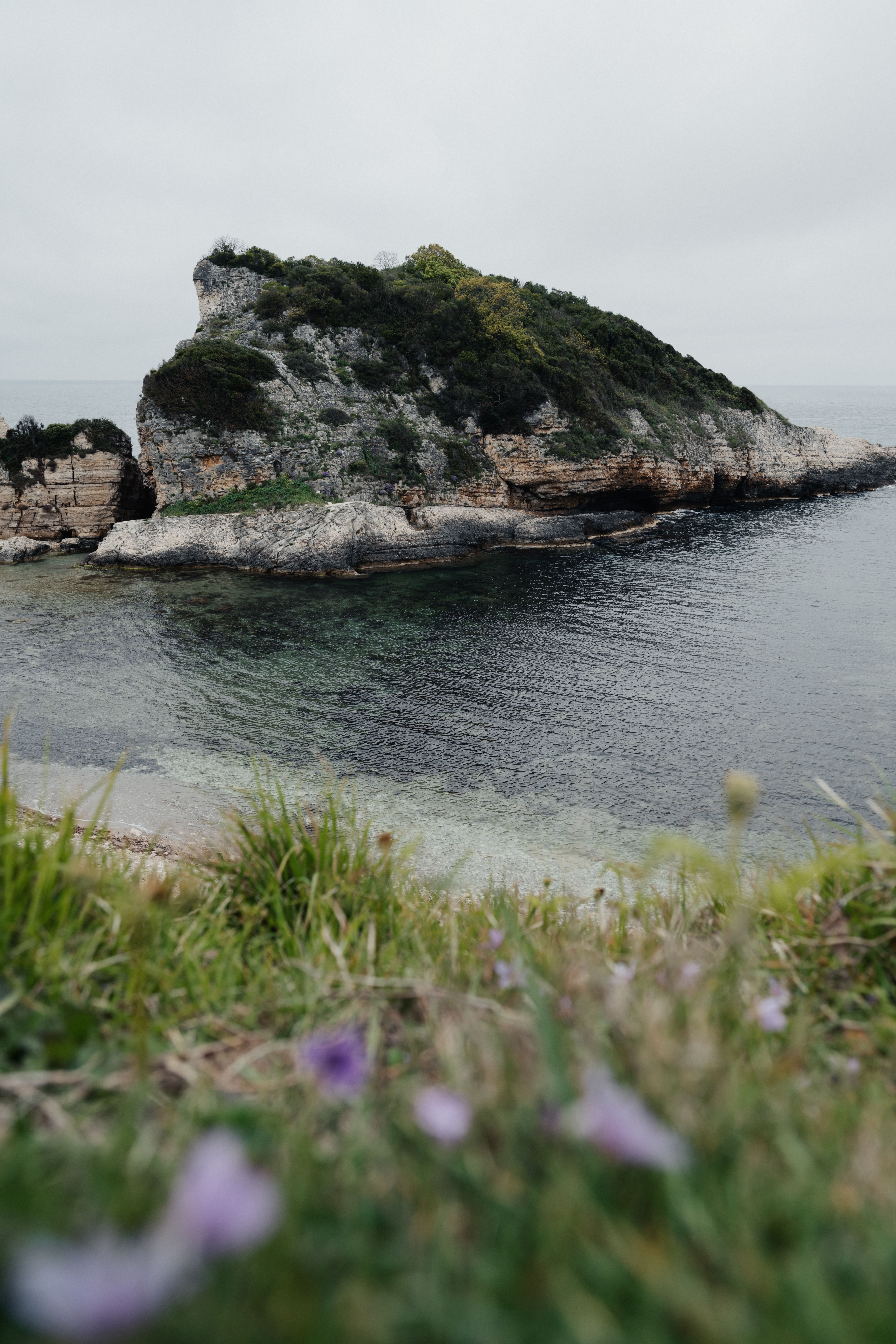 Flower Island Photos, Download The BEST Free Flower Island Stock Photos ...