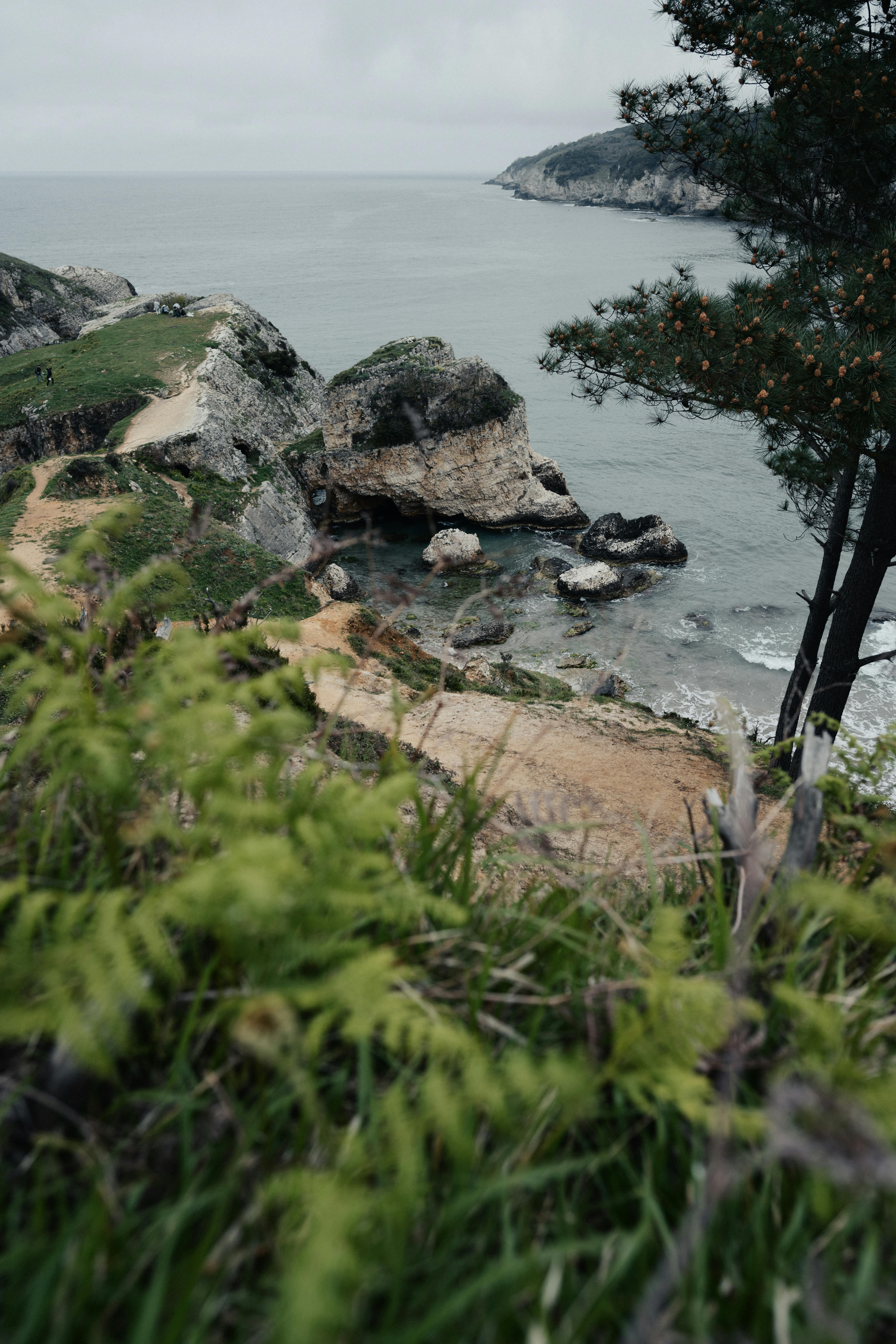 Neeraj+Pepsu+Wallpaper Photos, Download The BEST Free Neeraj+Pepsu ...