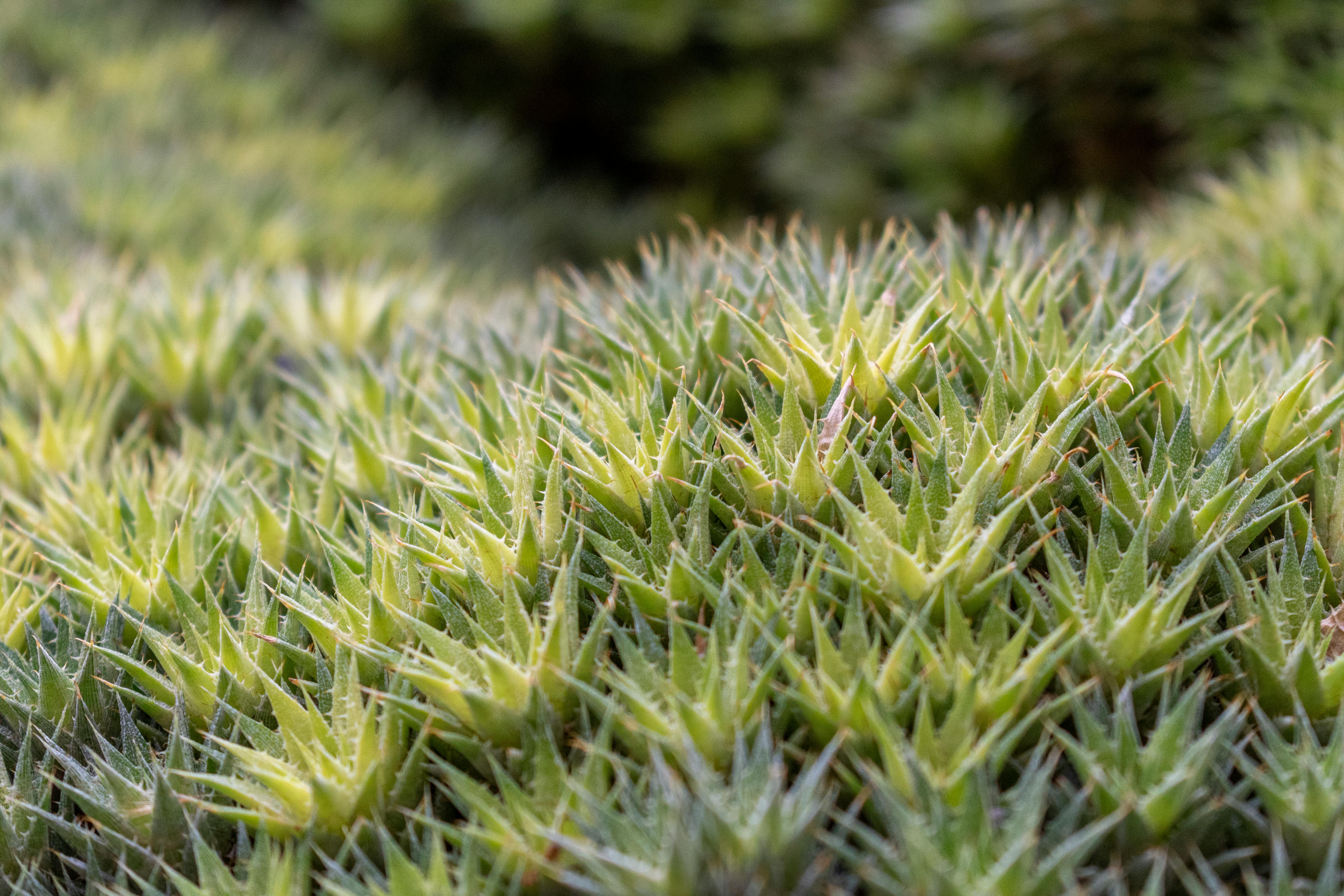 Sunnyfield Photos, Download The BEST Free Sunnyfield Stock Photos & HD ...