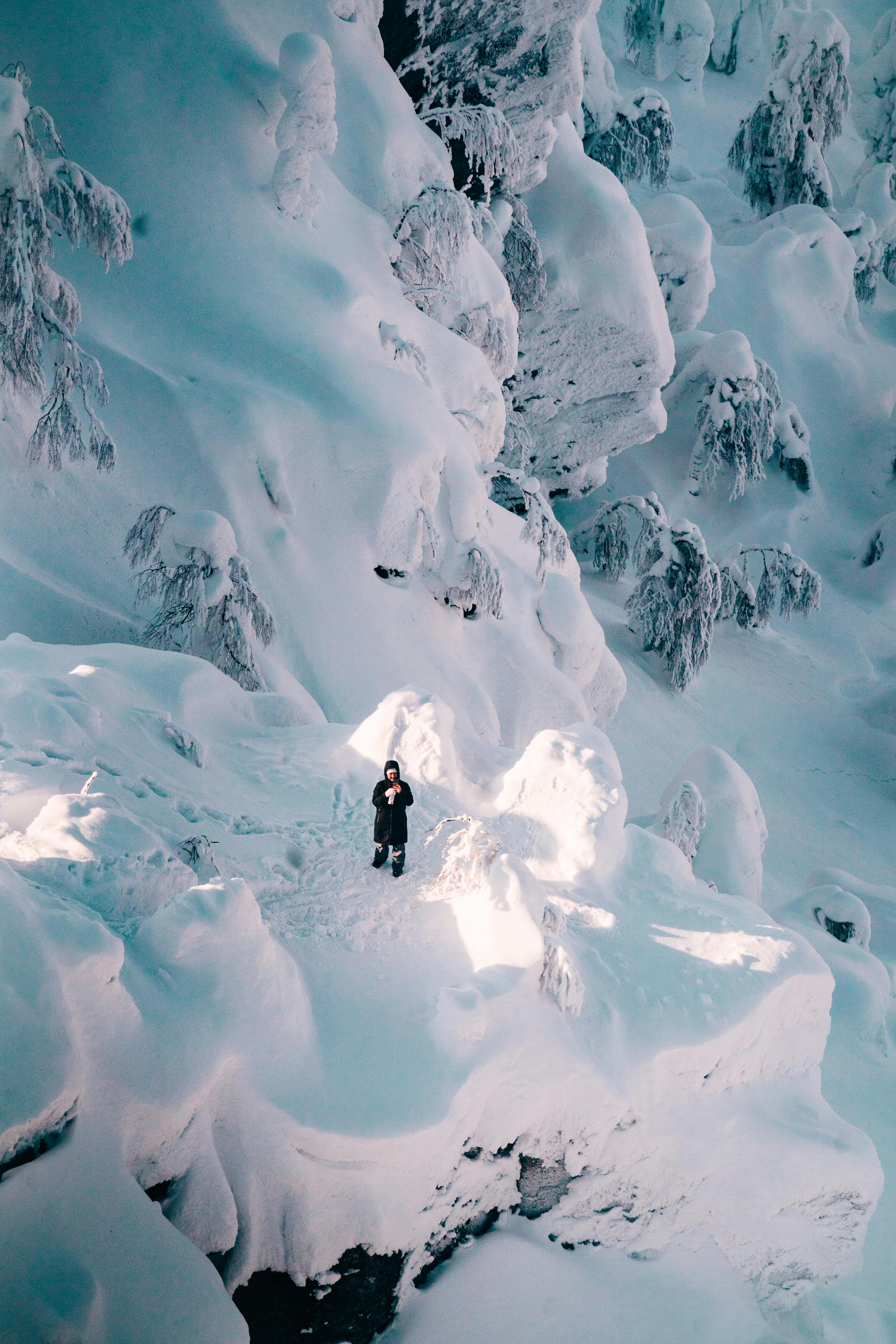 Lonely+Tree+At+Tossa+De+Mar+On+Sunrise Photos, Download The BEST Free ...