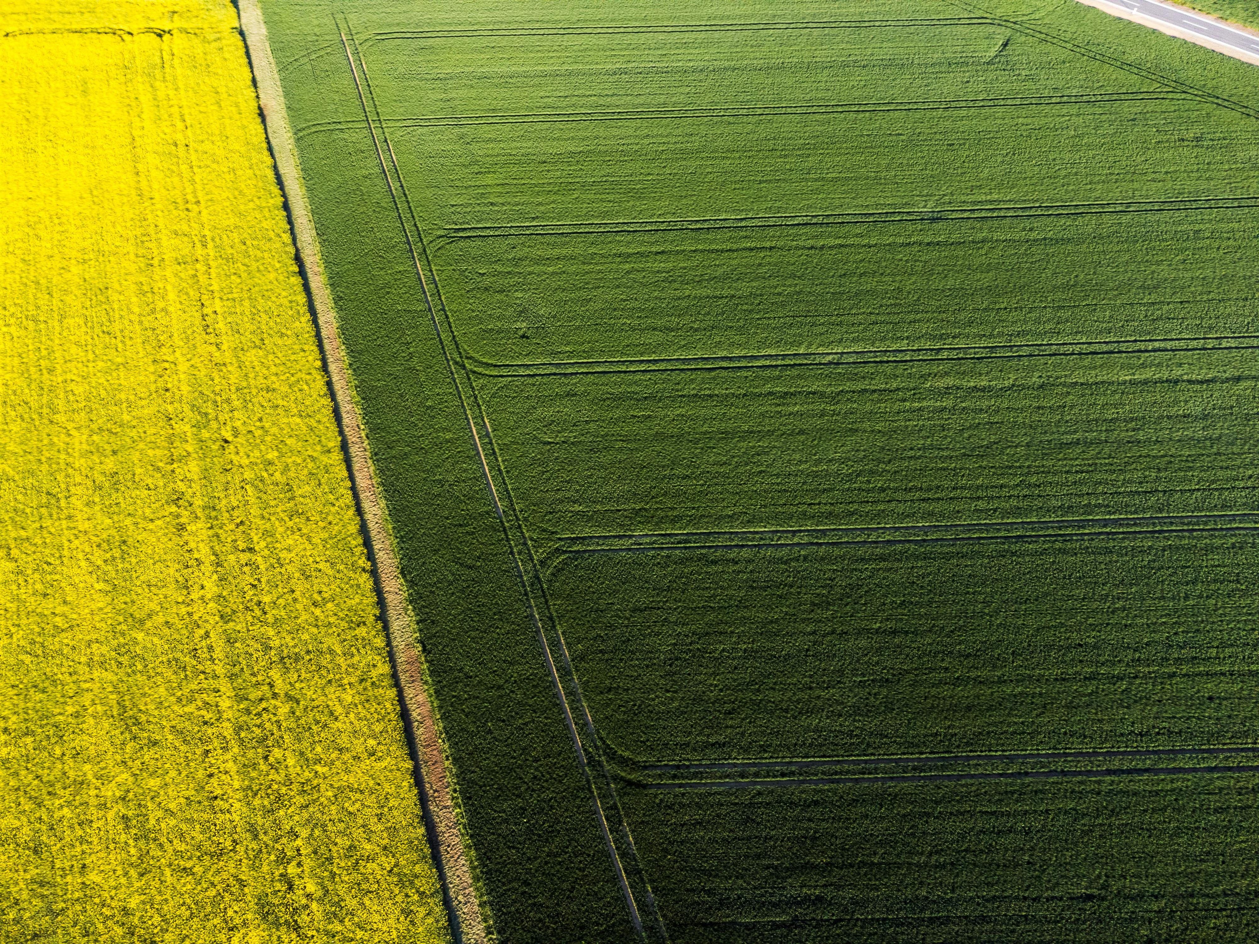 Rows Memo Photos, Download The BEST Free Rows Memo Stock Photos & HD Images