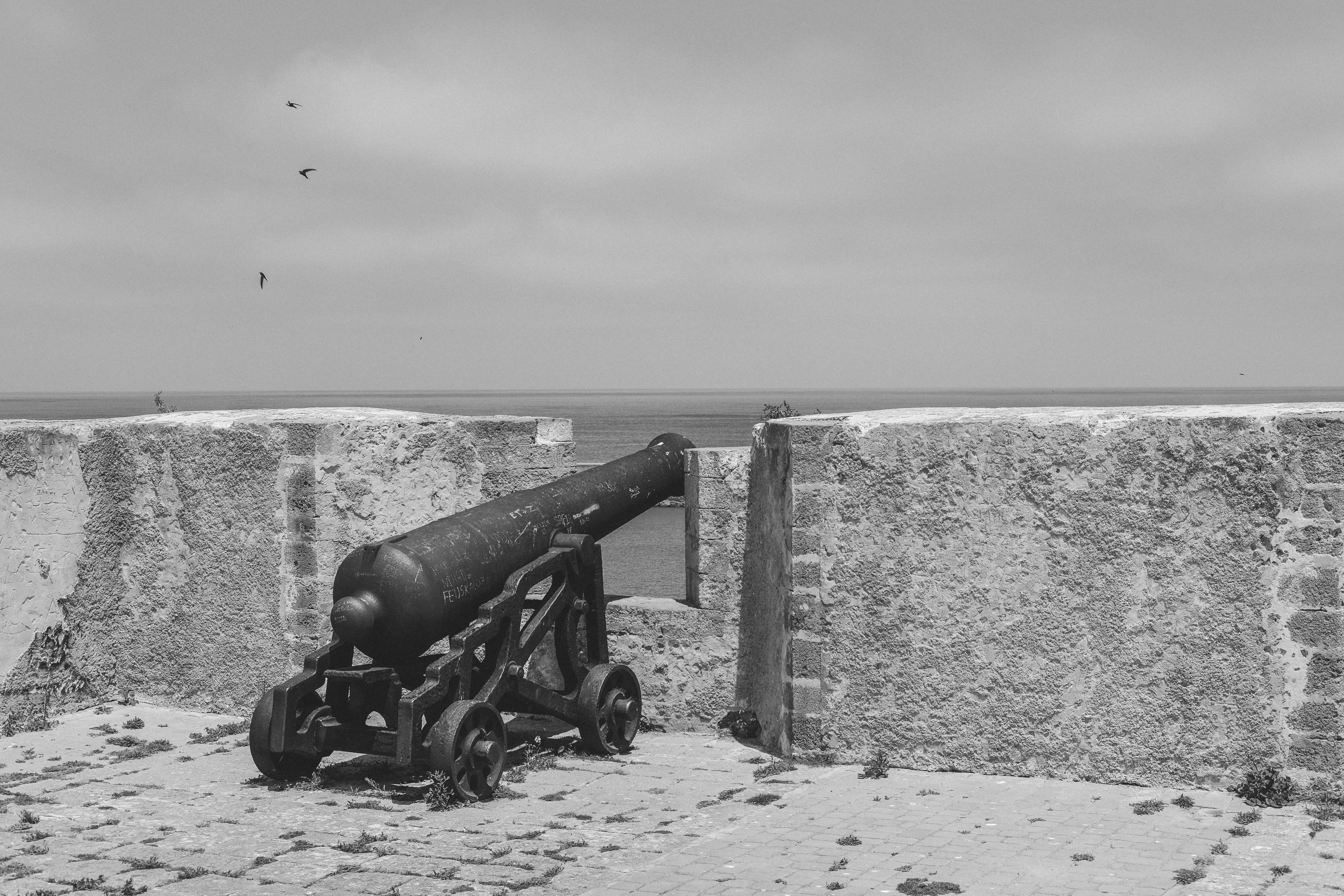 Birds Mockup Photos, Download The BEST Free Birds Mockup Stock Photos ...