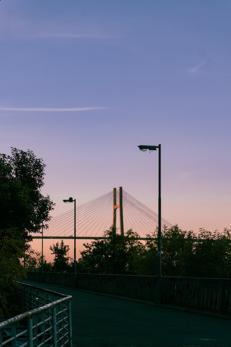 Pink Sunset Photos, Download The BEST Free Pink Sunset Stock Photos ...