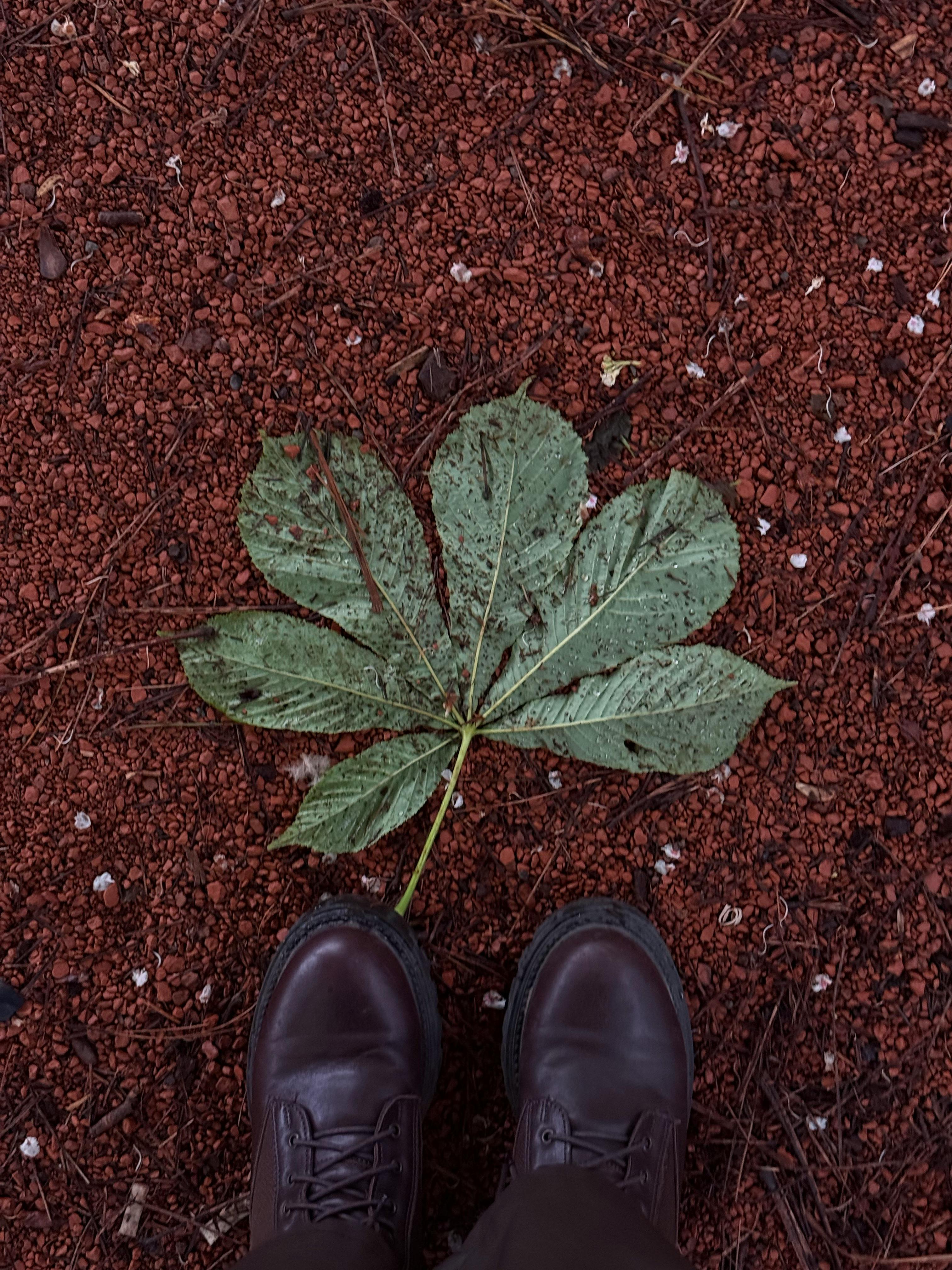Offshore Boot Photos, Download The BEST Free Offshore Boot Stock Photos ...