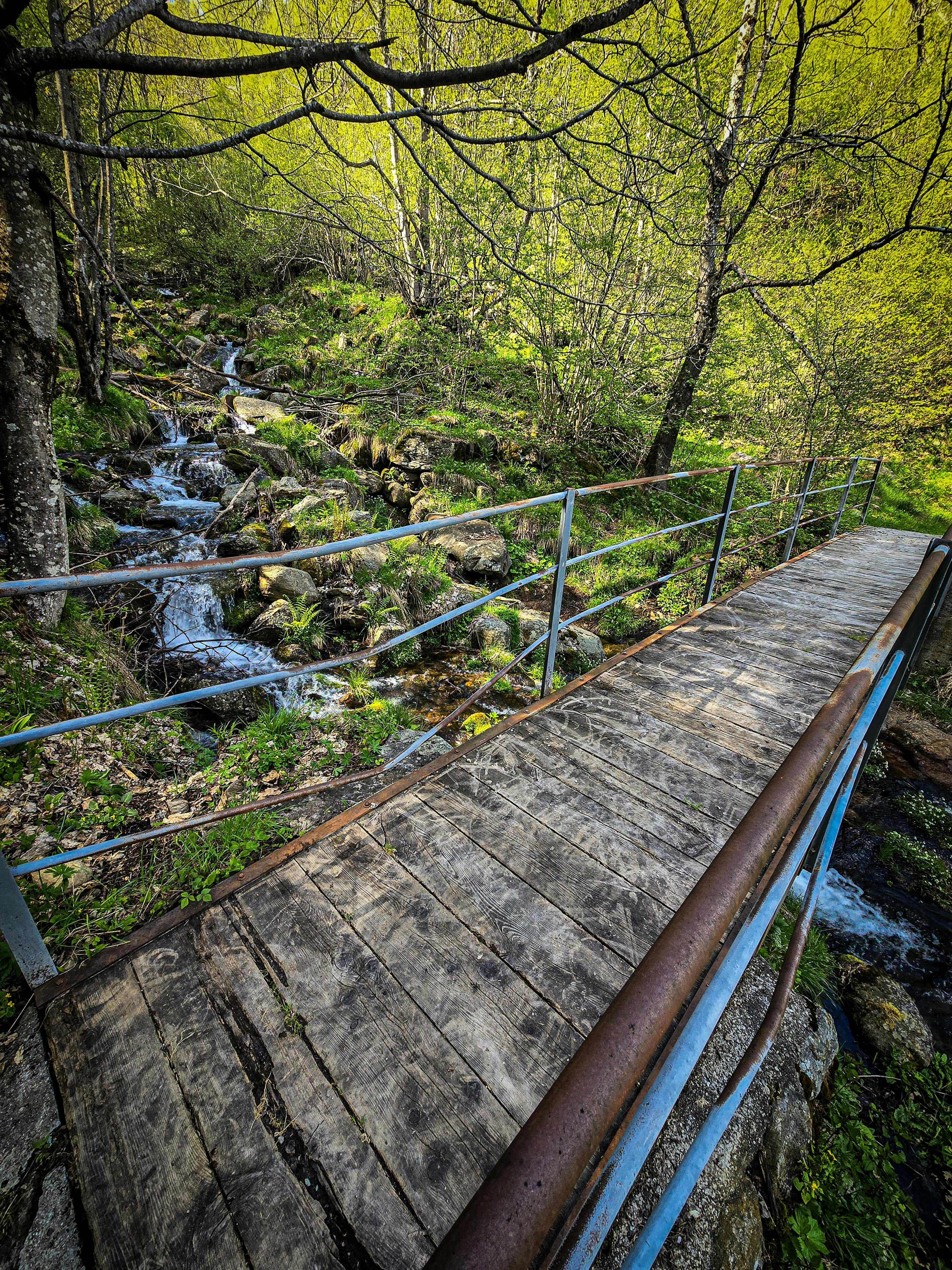 Rustic Wooden Bridge over Forest Stream · Free Stock Photo