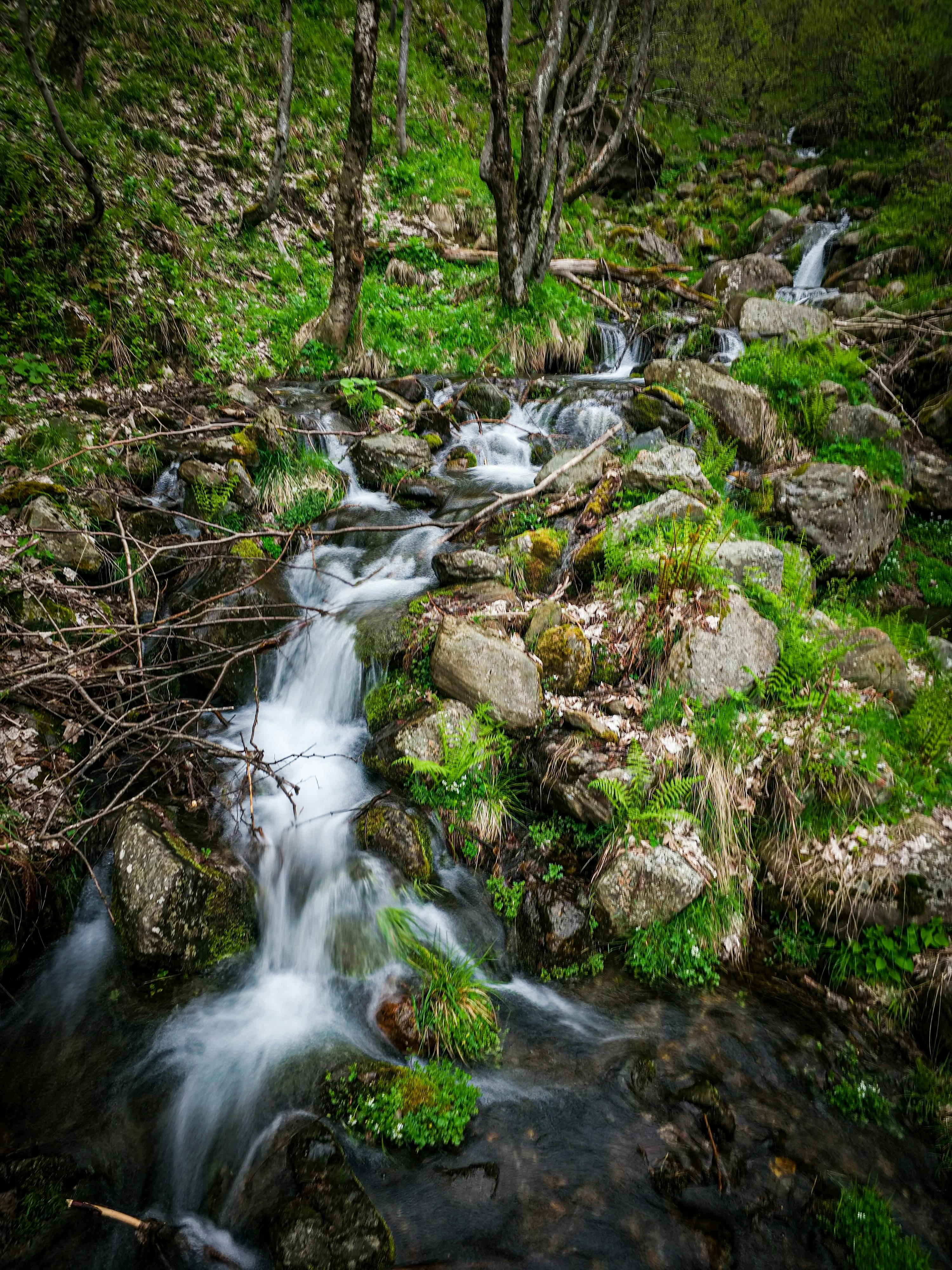 Rocky Cascade Photos, Download The BEST Free Rocky Cascade Stock Photos ...