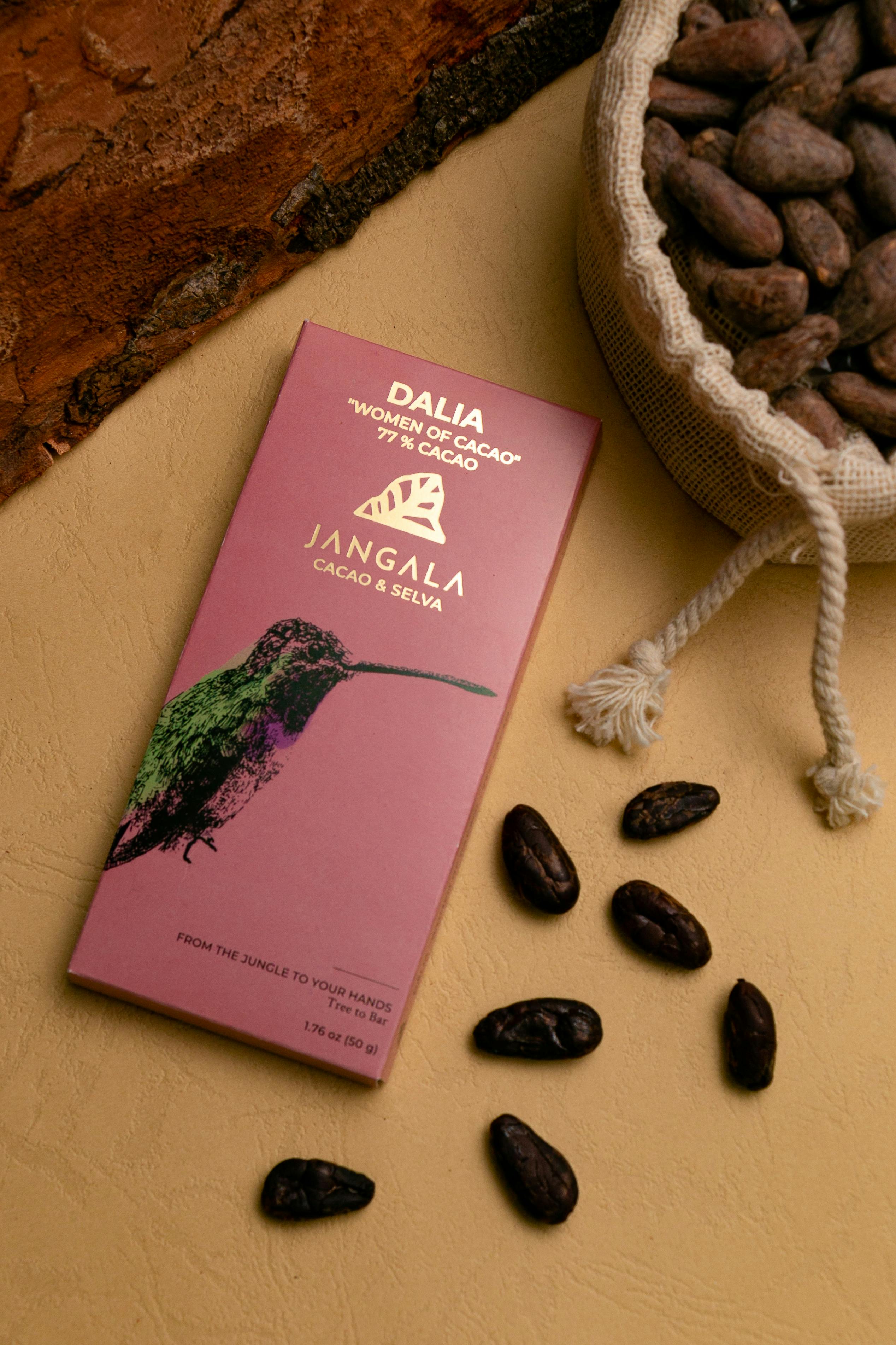 Luxury Mexican Chocolate Bar with Cocoa Beans · Free Stock Photo