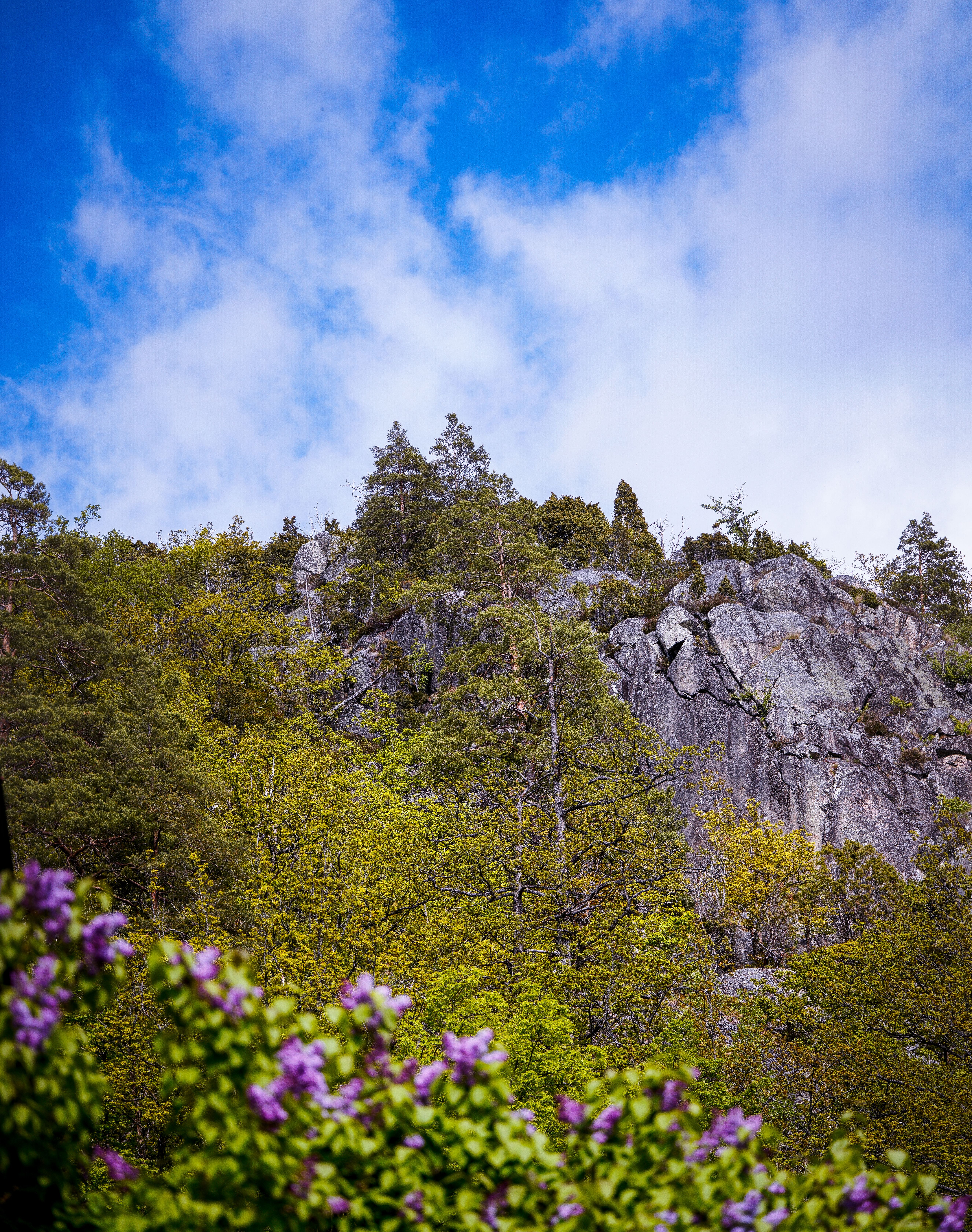 Scenic Mountain View in Jonkoping County, Sweden · Free Stock Photo