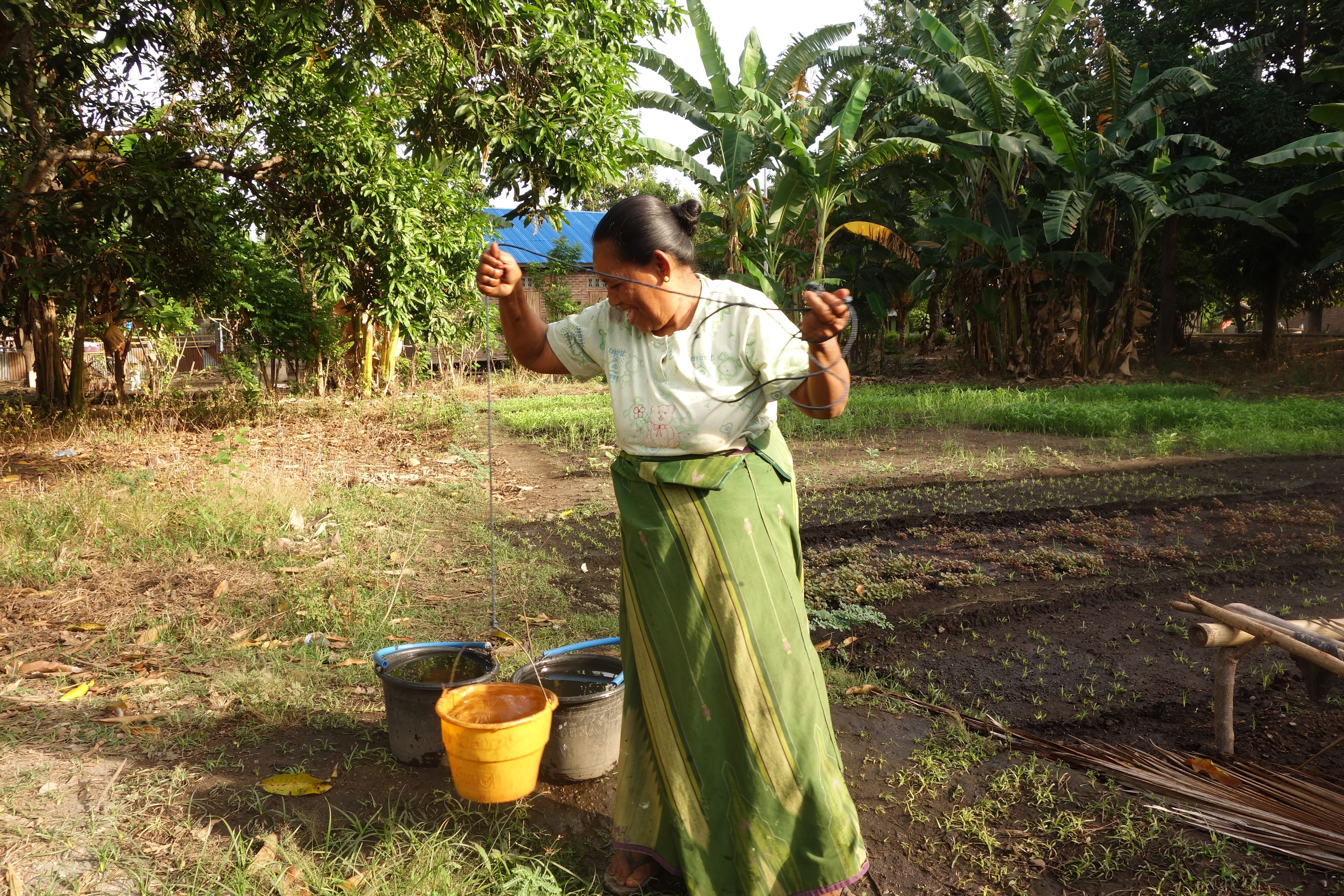 Woman Tending Garden with Traditional Techniques · Free Stock Photo