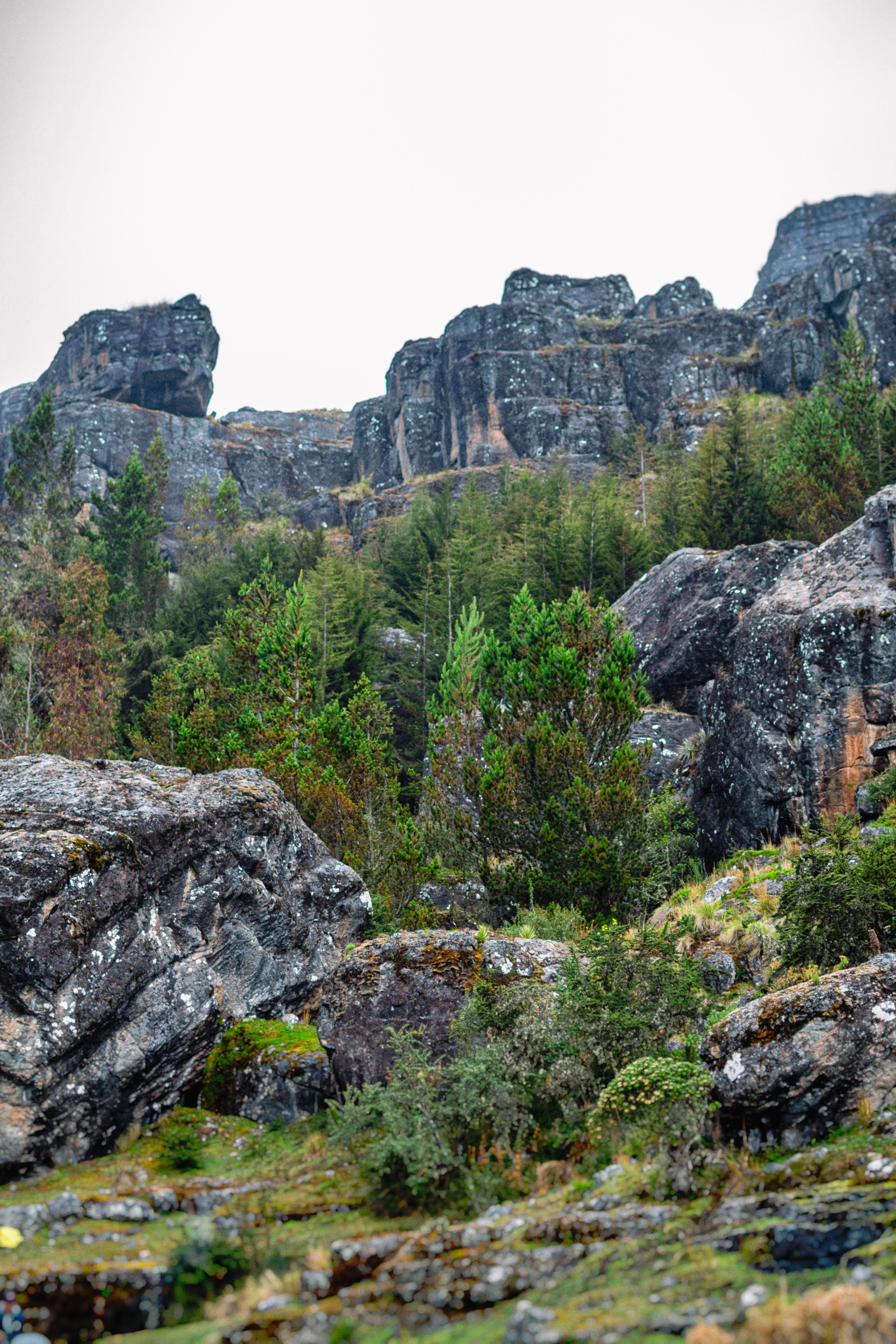 Nature Bolivia Photos, Download The BEST Free Nature Bolivia Stock ...