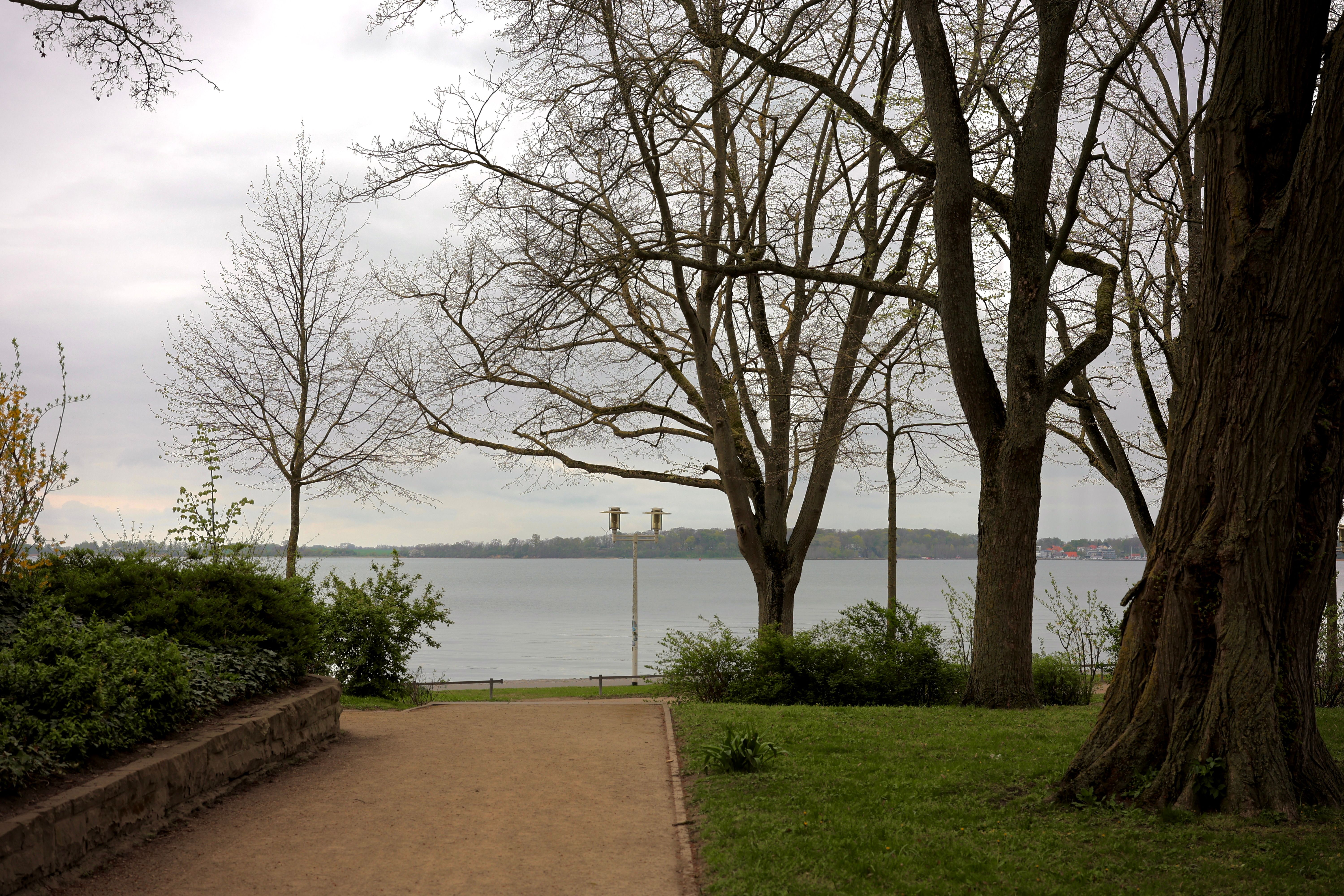 Daytime Park Photos, Download The BEST Free Daytime Park Stock Photos ...