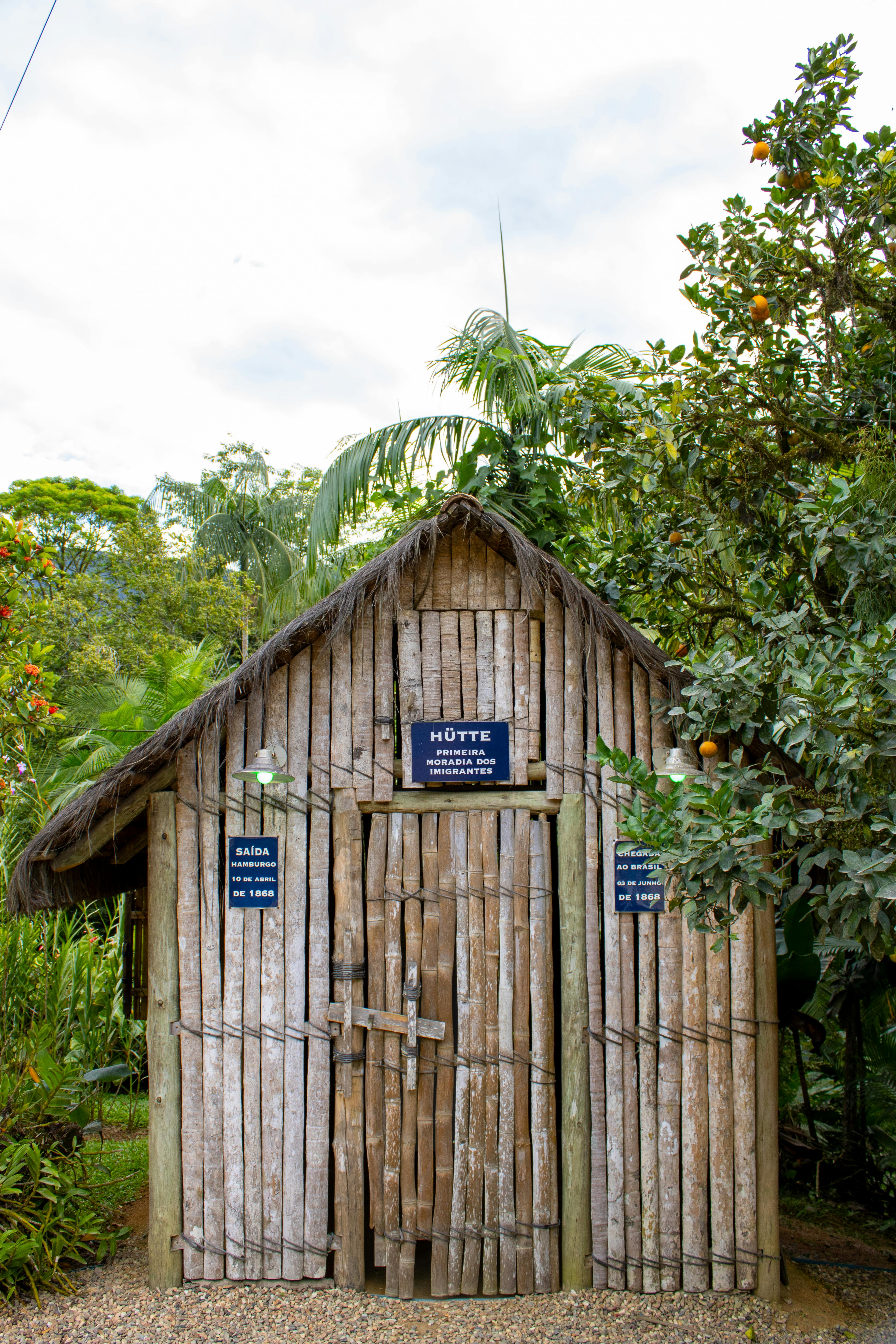 Rustic Bamboo Hut Surrounded by Lush Greenery · Free Stock Photo