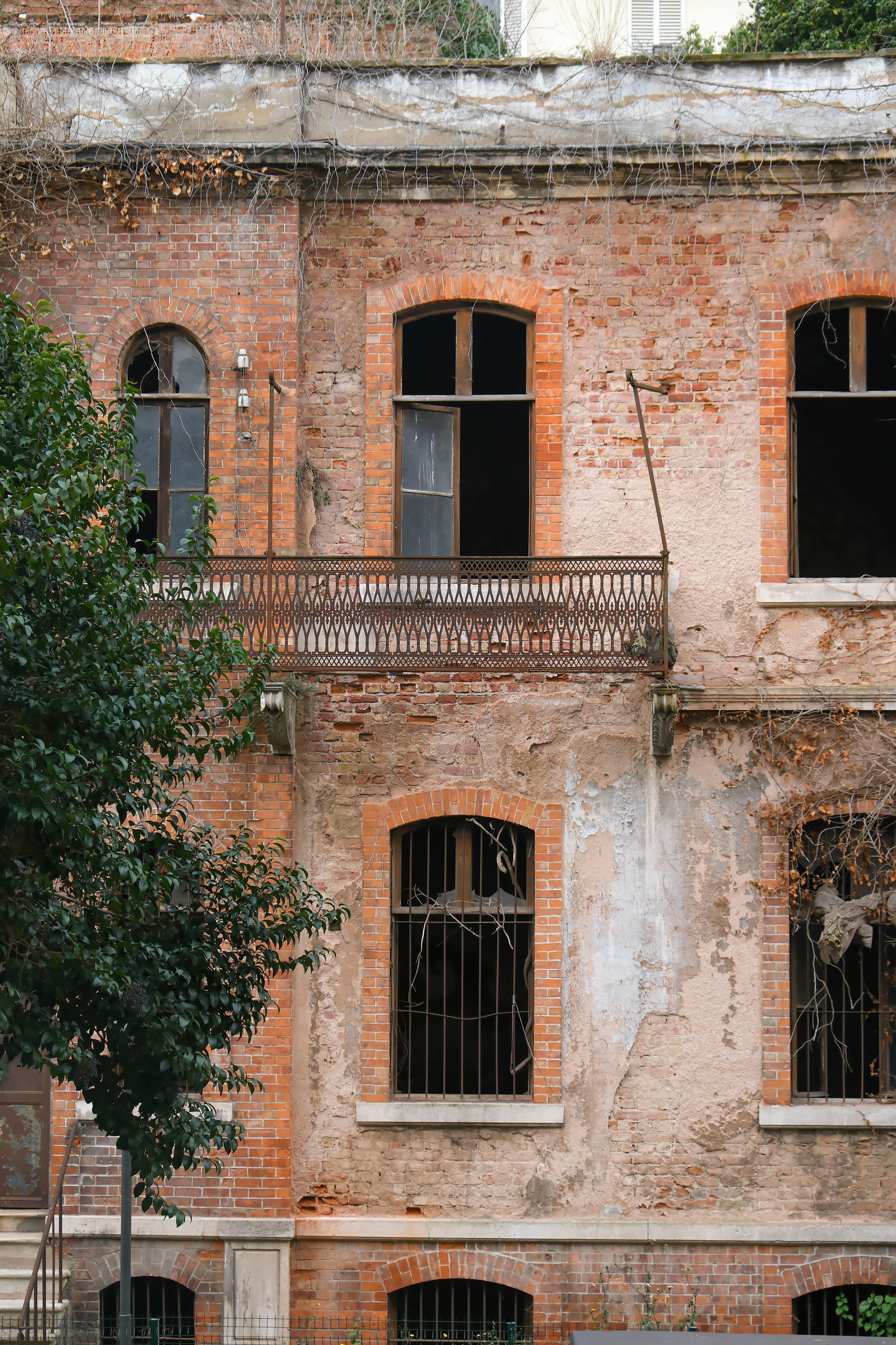 Old Empty Tree Photos, Download The BEST Free Old Empty Tree Stock ...