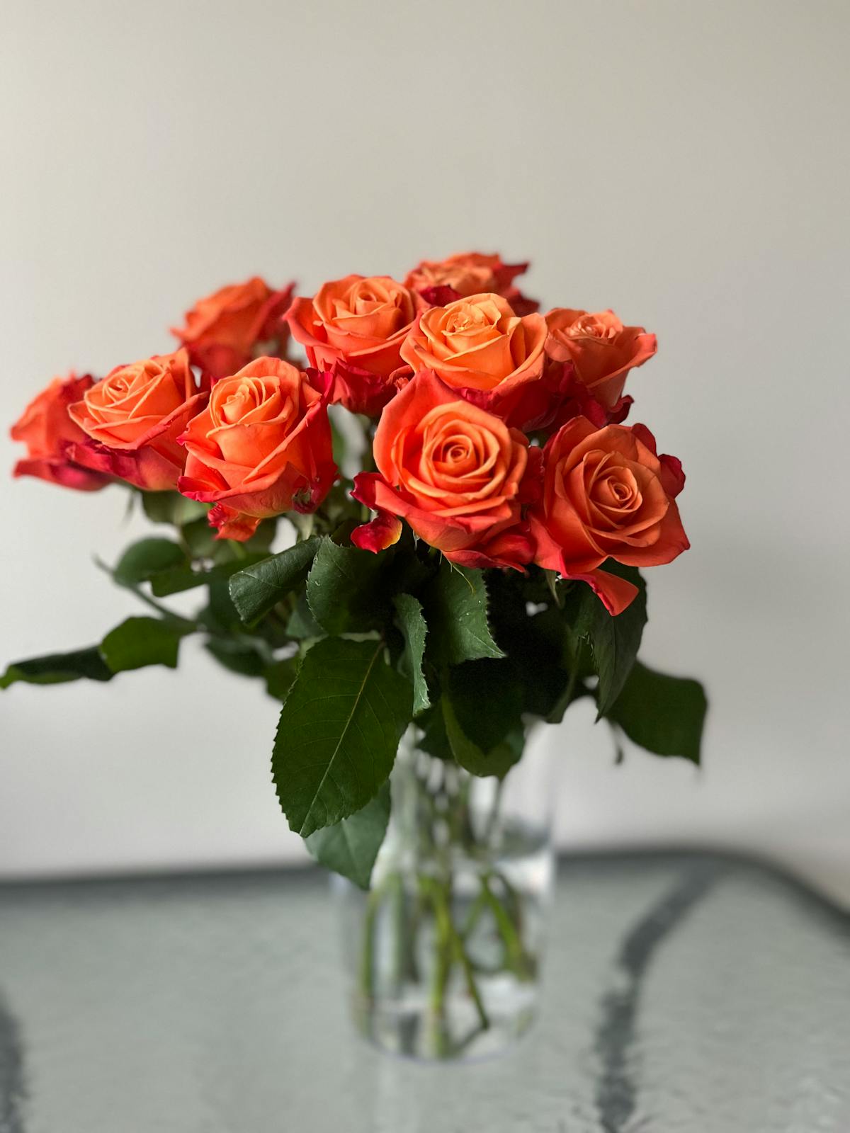 Orange Color Photos, Download The BEST Free Orange Color Stock Photos ...