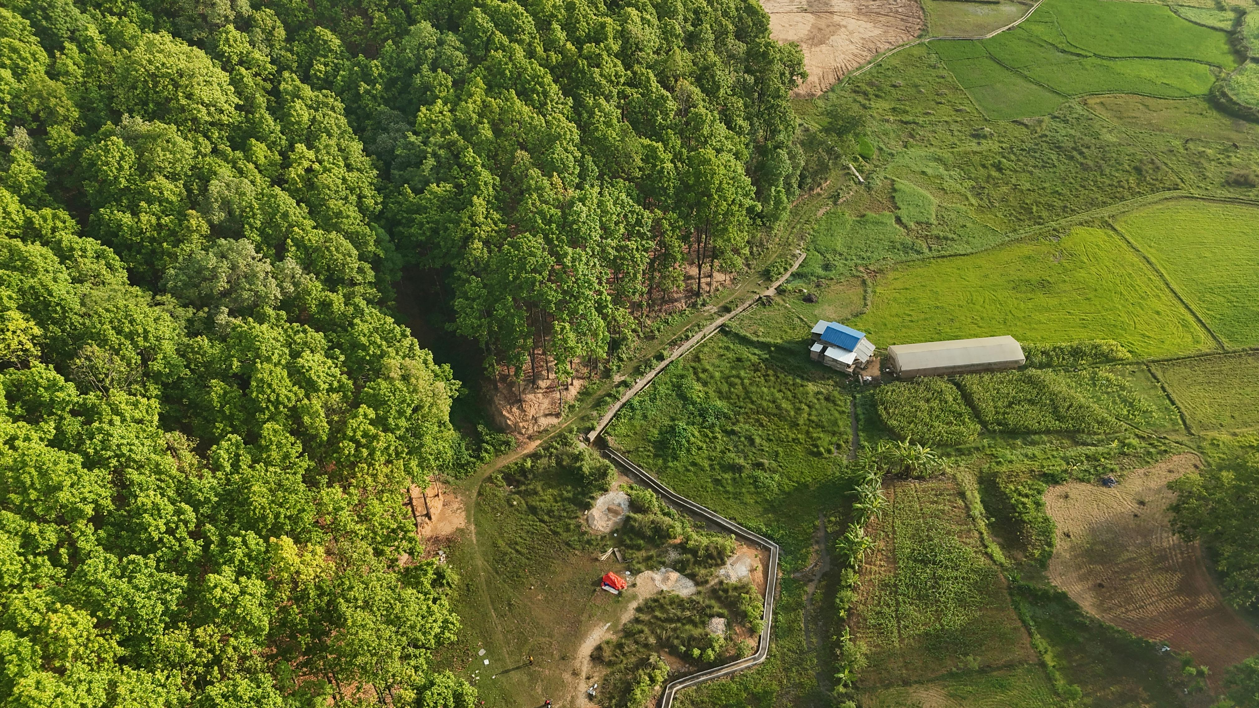 Village Plots Photos, Download The BEST Free Village Plots Stock Photos ...