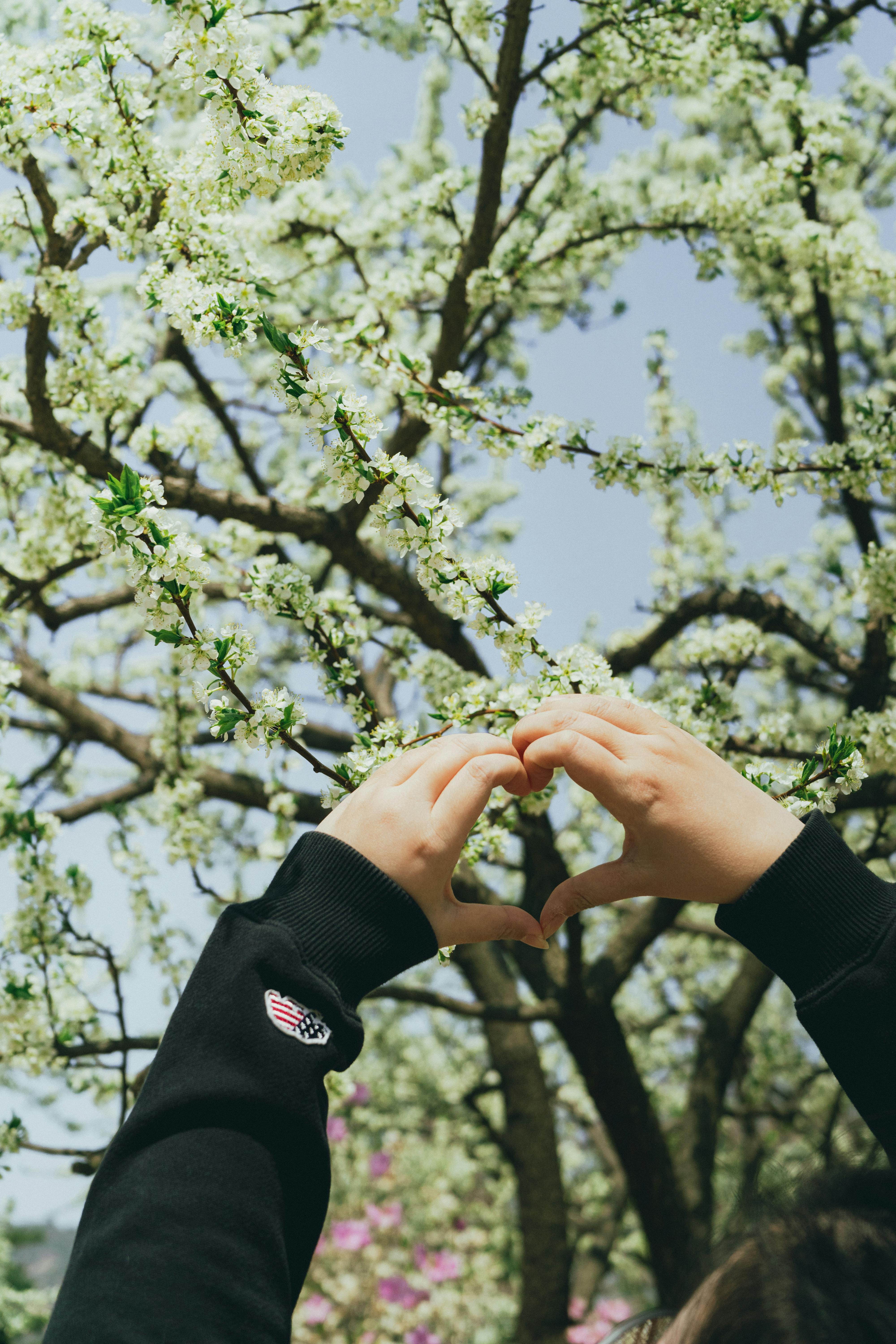 Fnf Animated Wallpaper Photos, Download The BEST Free Fnf Animated ...