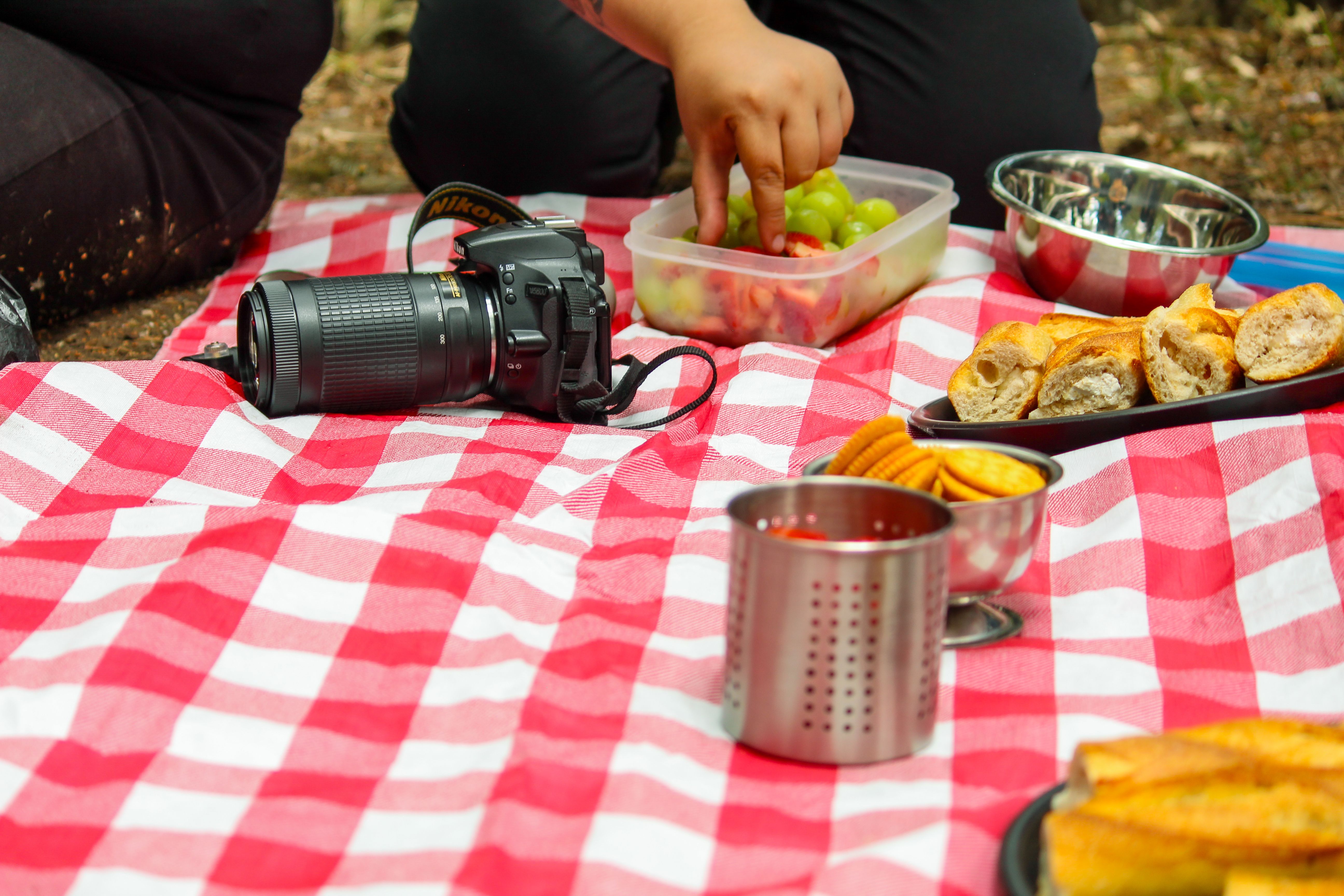 Picnic Setting with Camera in Mexico City Park · Free Stock Photo